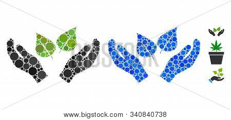 Flora Care Hands Vector & Photo (Free Trial) | Bigstock