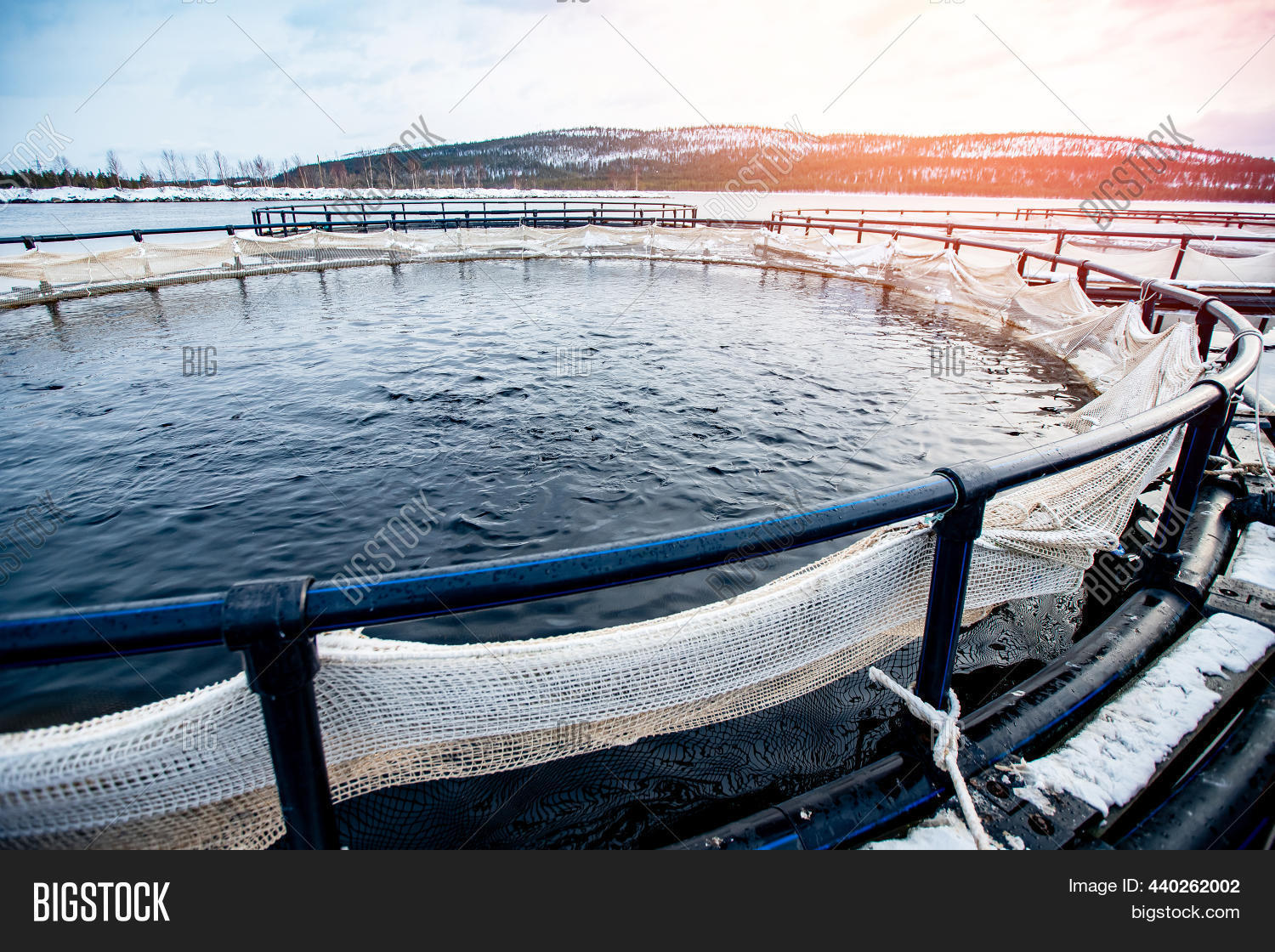 Fish Farm Breeding Image & Photo (Free Trial) | Bigstock