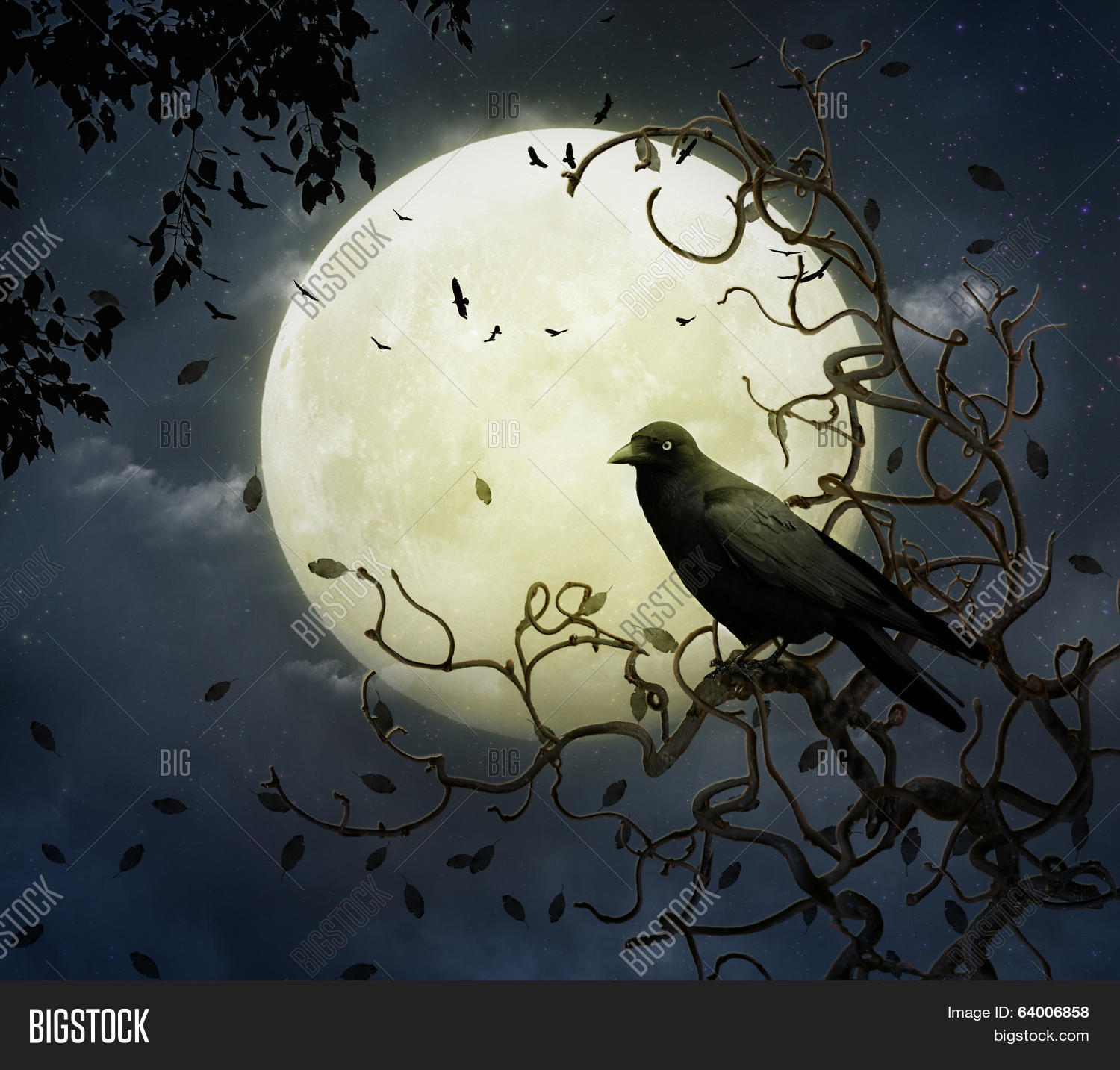 Crow Moon. Elements Image & Photo (Free Trial) | Bigstock