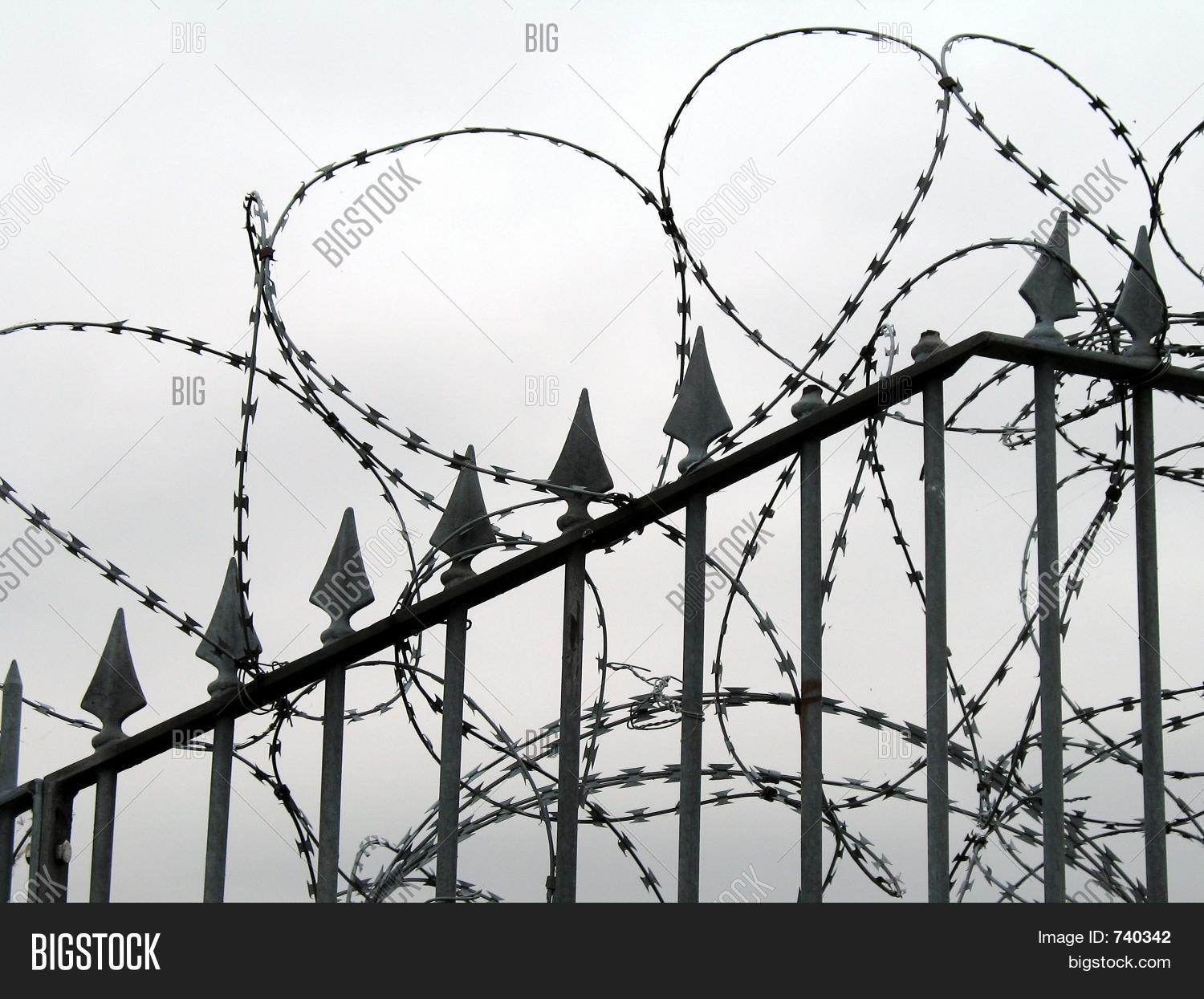 Razor Wire Image & Photo (Free Trial) | Bigstock