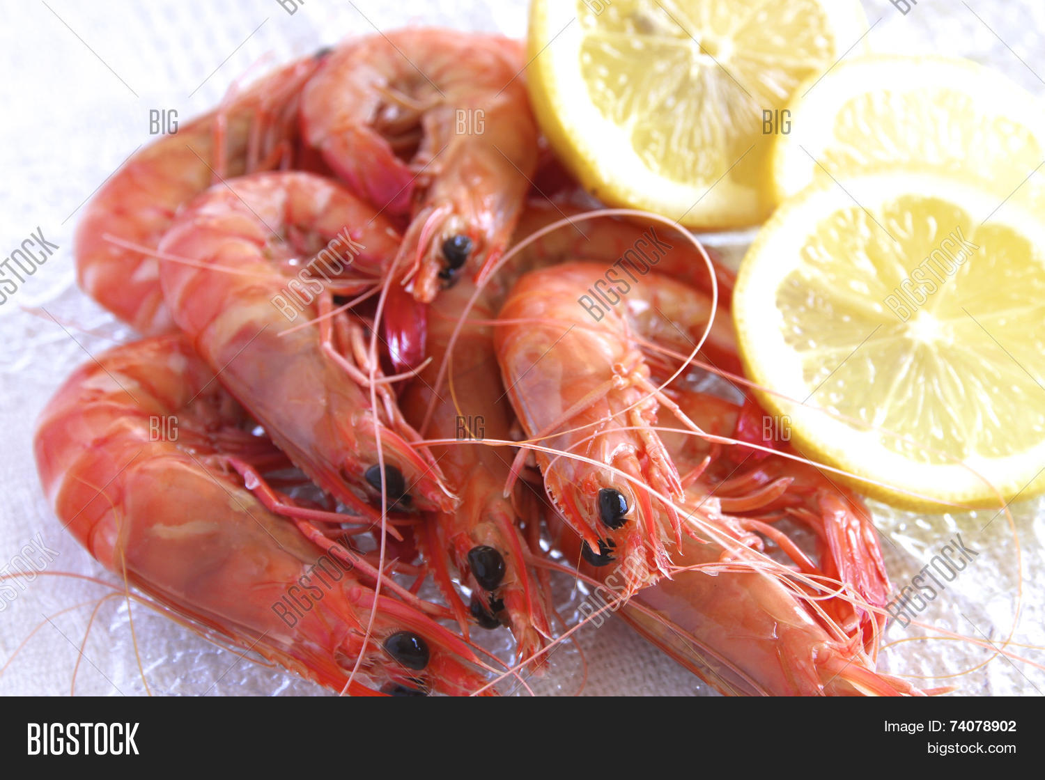 Australian King Prawns Image & Photo (Free Trial) | Bigstock