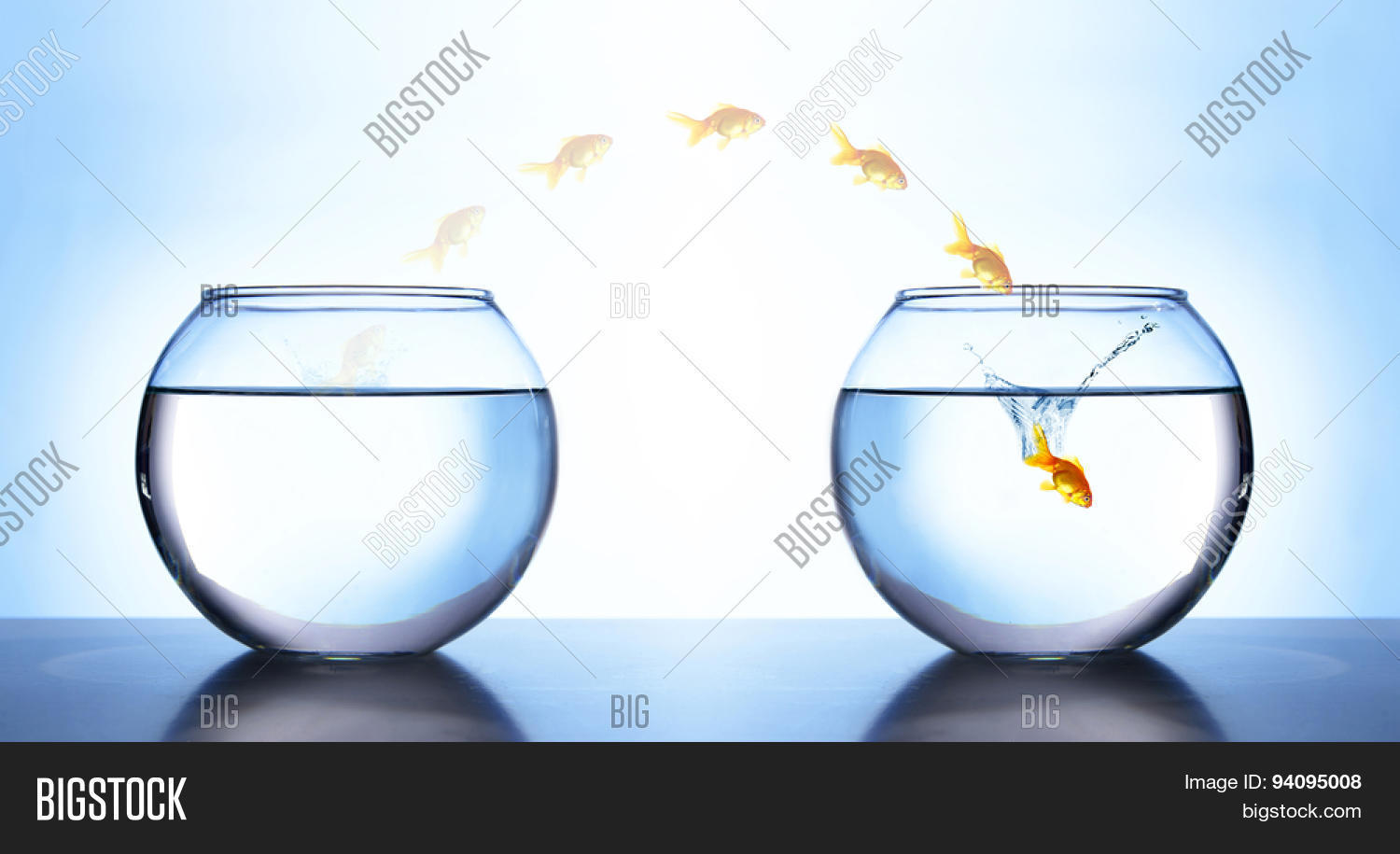 Goldfish Jumping Image & Photo (Free Trial) | Bigstock