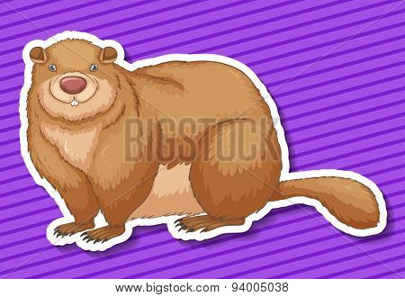 Fat Beaver Smiling On Vector & Photo (Free Trial) | Bigstock