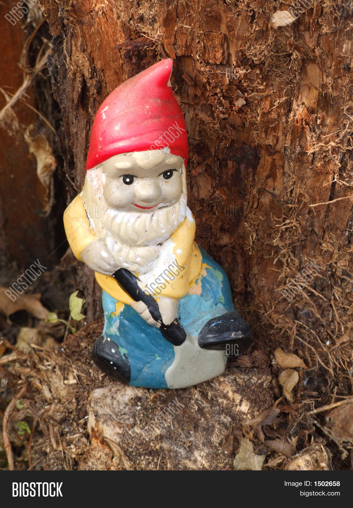 Happy Gnome Garden 4 Image & Photo (Free Trial) | Bigstock