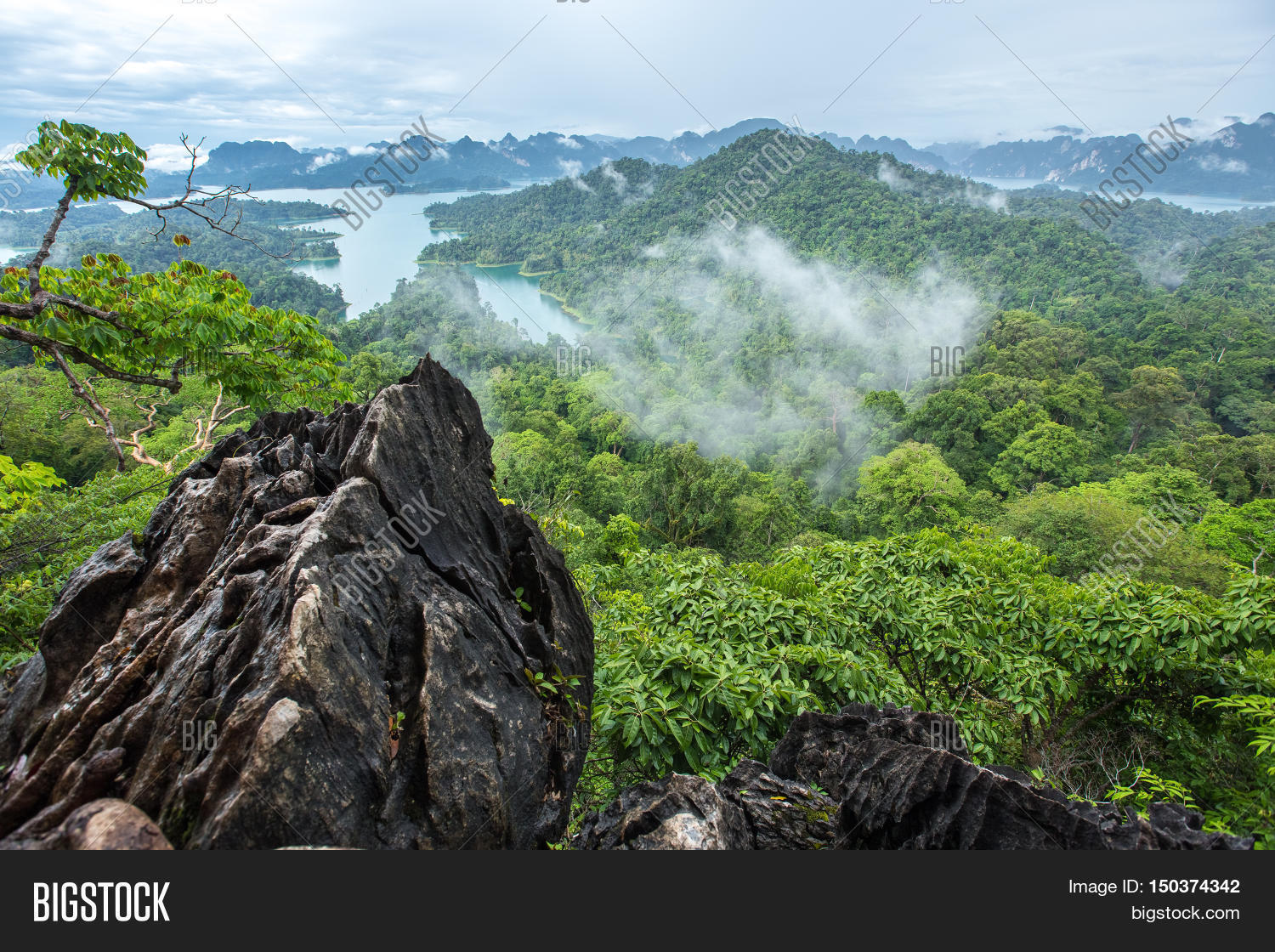 Tarzan View Point Image & Photo (Free Trial) | Bigstock