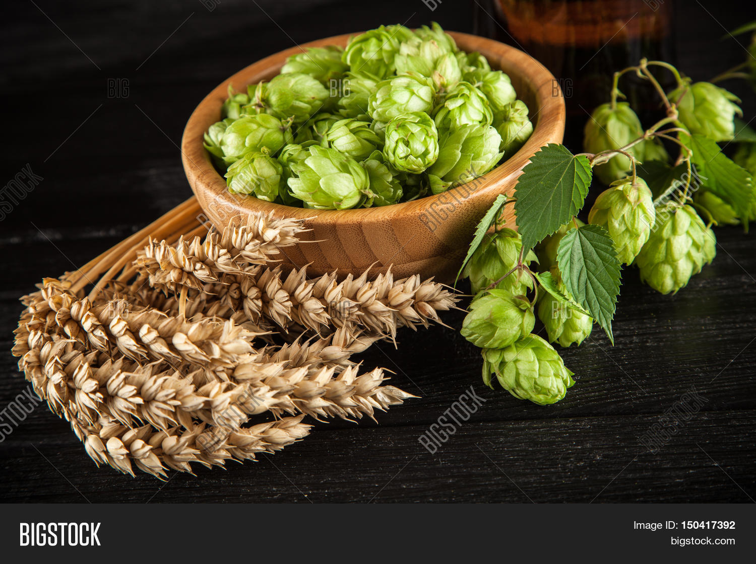 Malt Hops Image & Photo (Free Trial) | Bigstock
