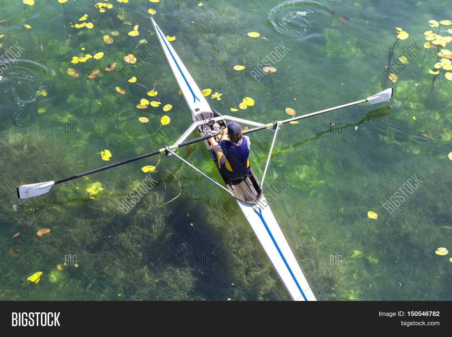 Young Single Scull Image & Photo (Free Trial) | Bigstock