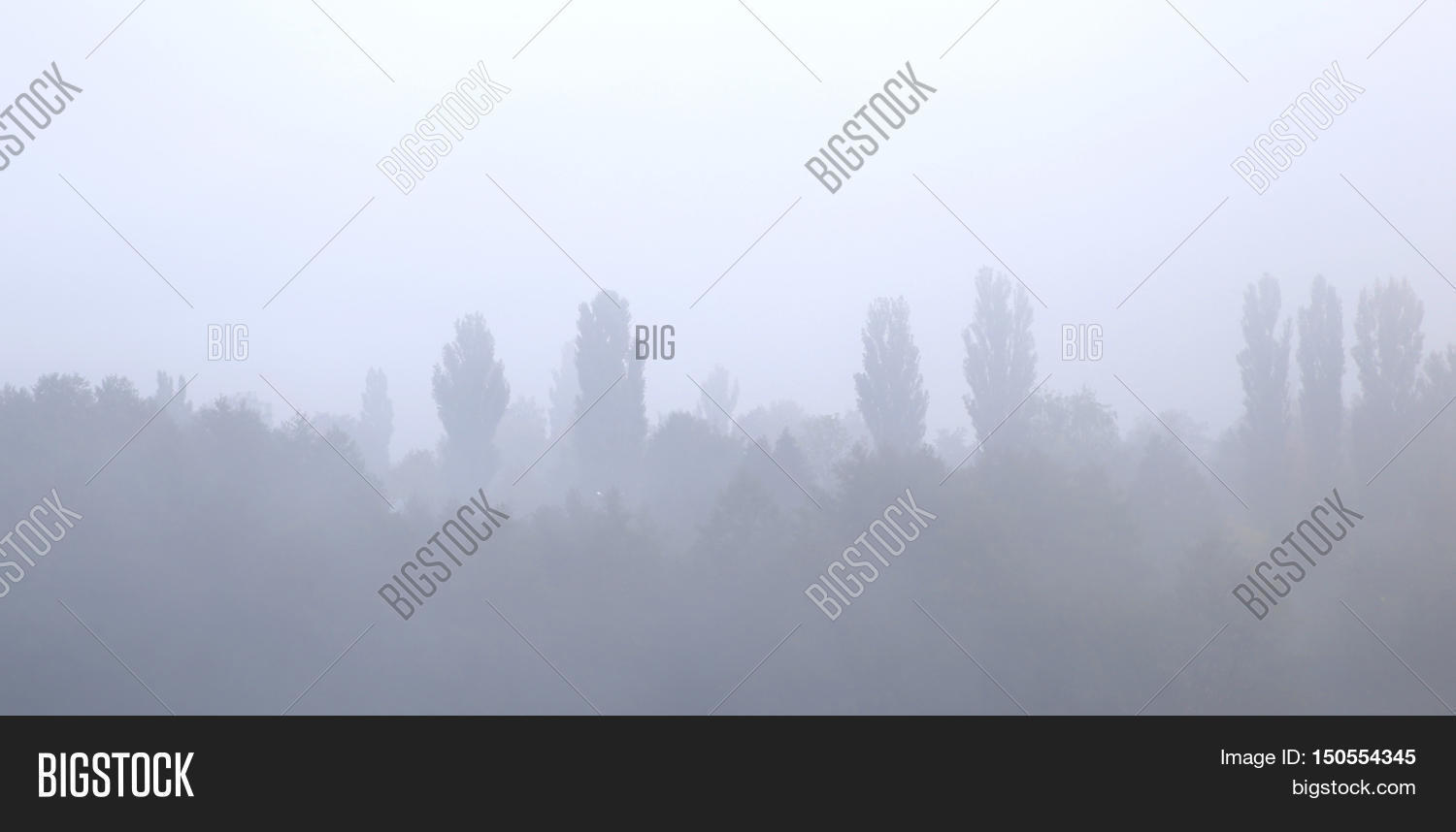 Thick Fog Falling On Image & Photo (Free Trial) | Bigstock