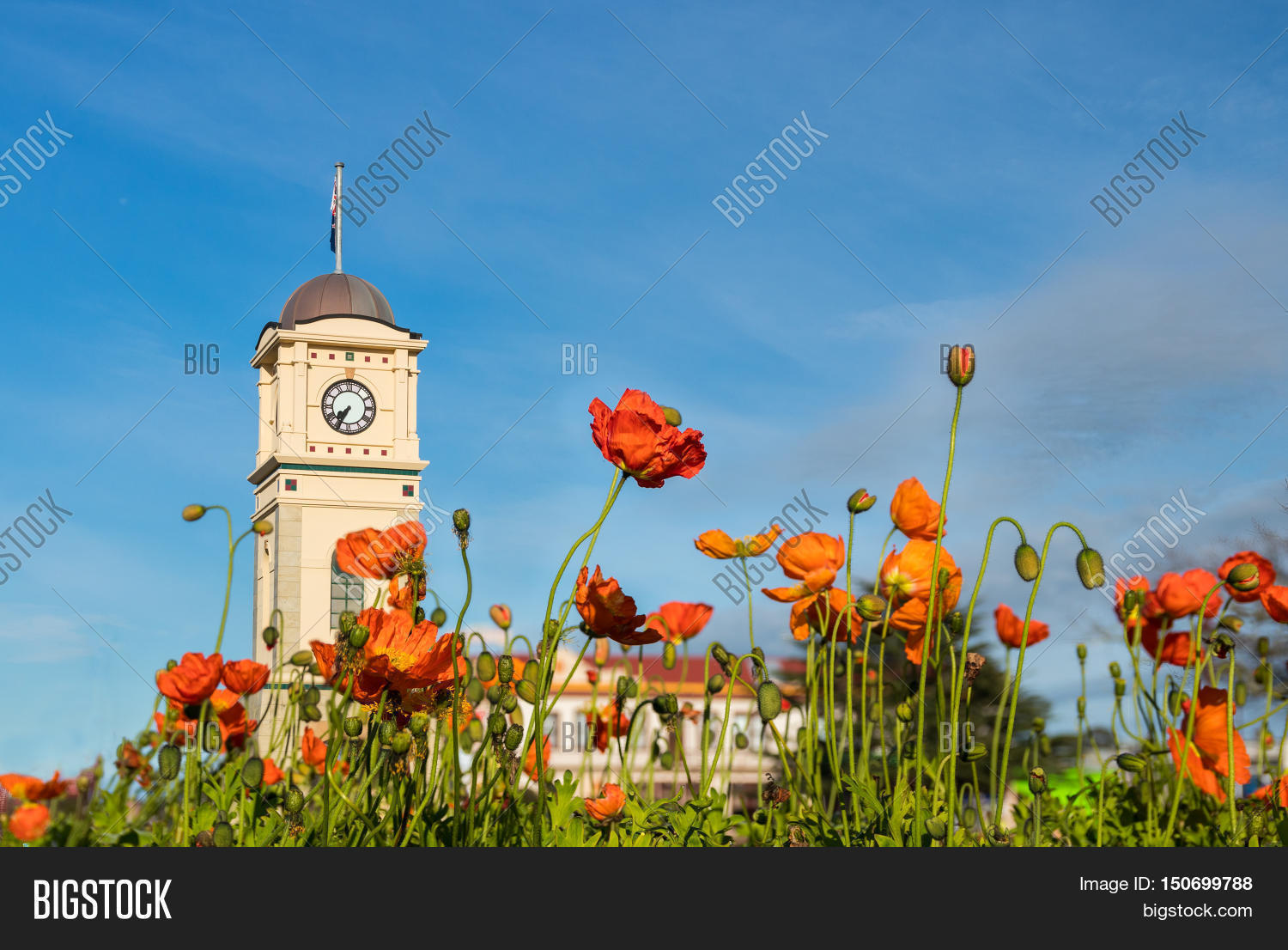 Spring Flowers Town Image & Photo (Free Trial) | Bigstock