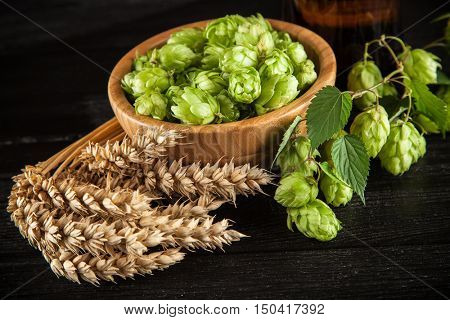 Malt Hops Image & Photo (Free Trial) | Bigstock