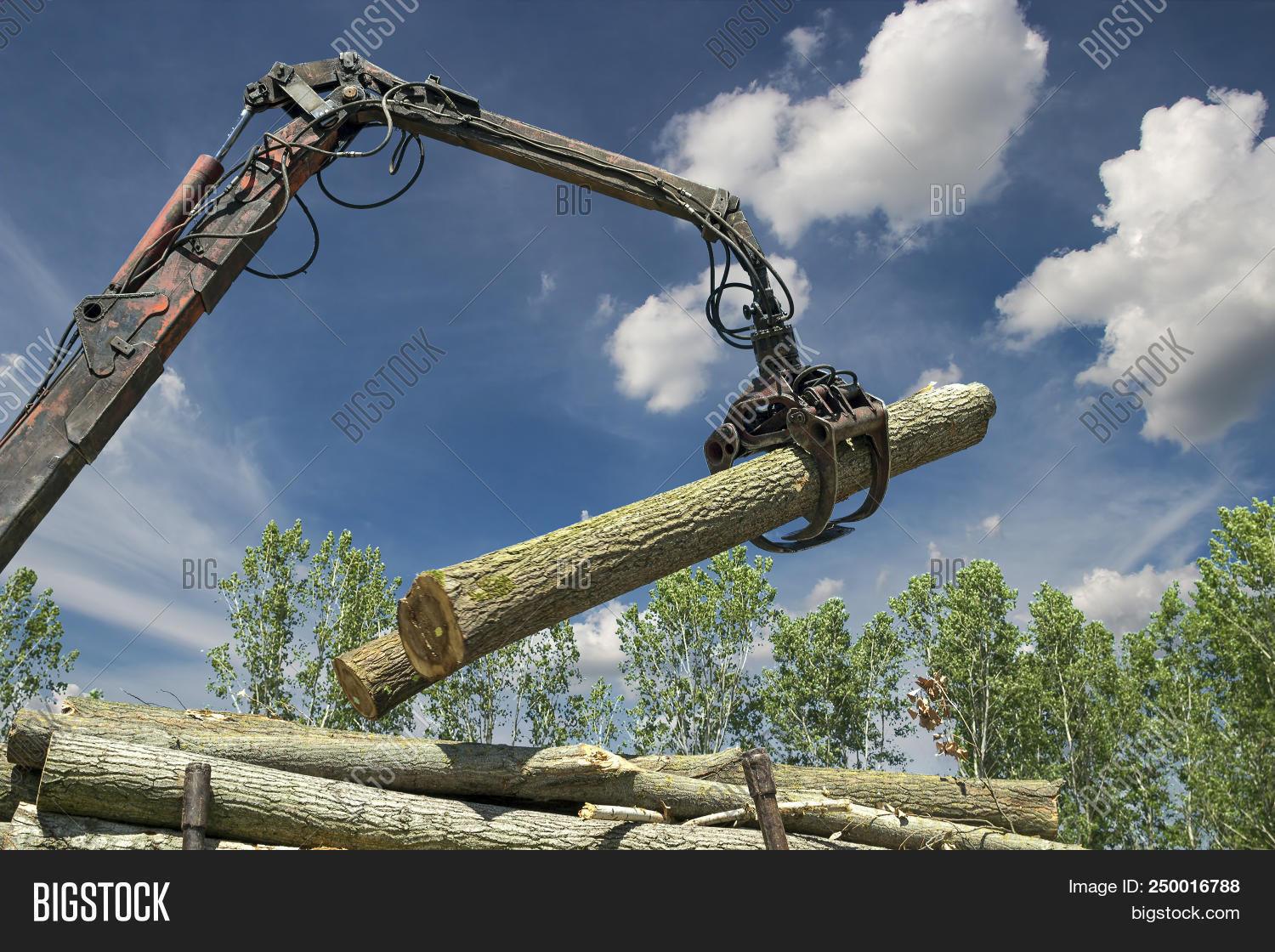 Lumber Industry - Image & Photo (Free Trial) | Bigstock