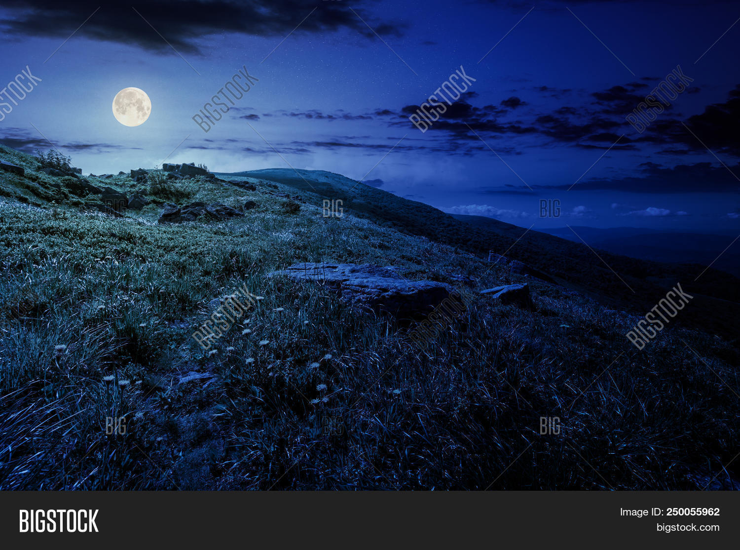 Grassy Hill Night