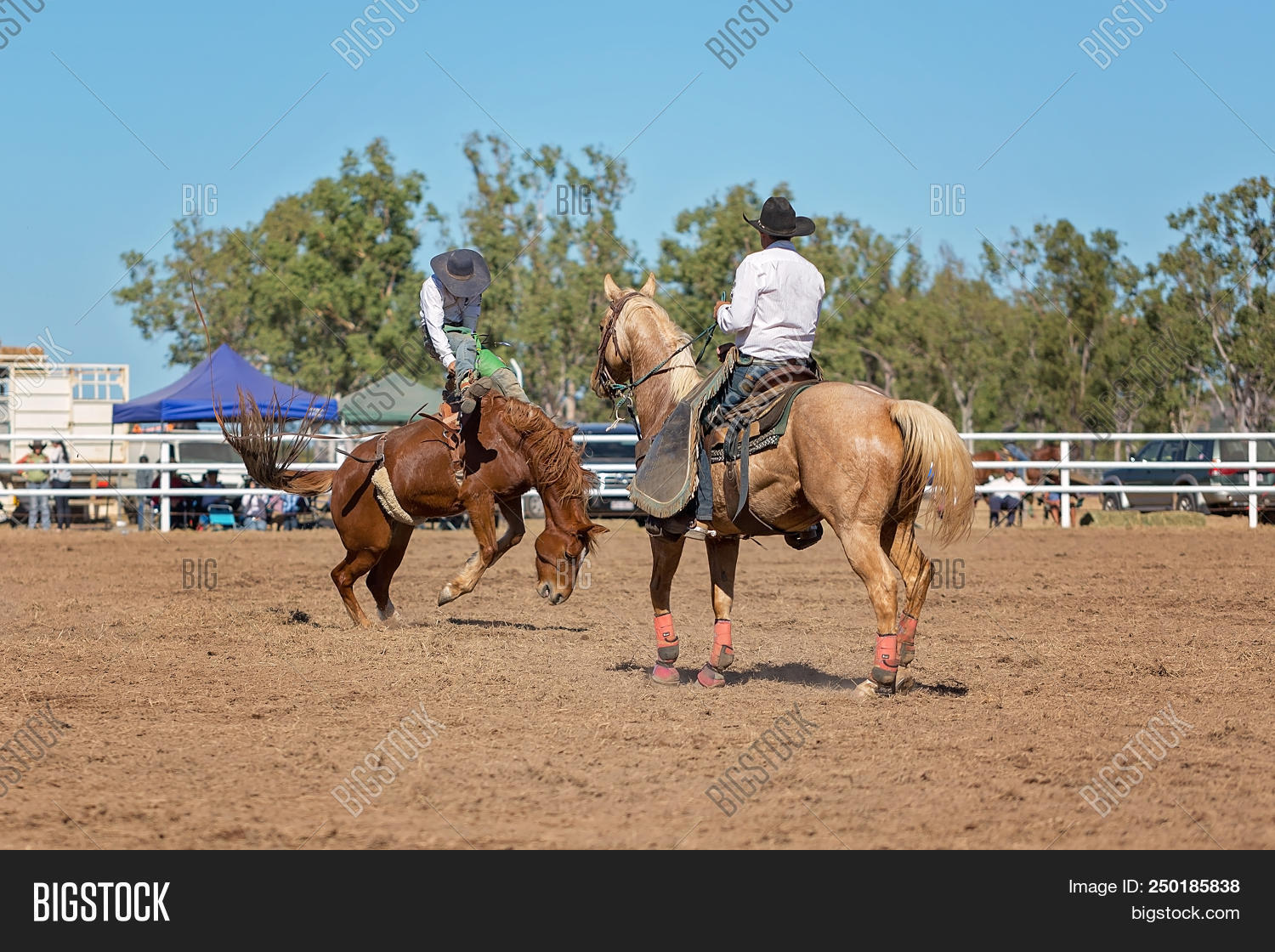 Cowboy Riding Bucking Image & Photo (Free Trial) | Bigstock