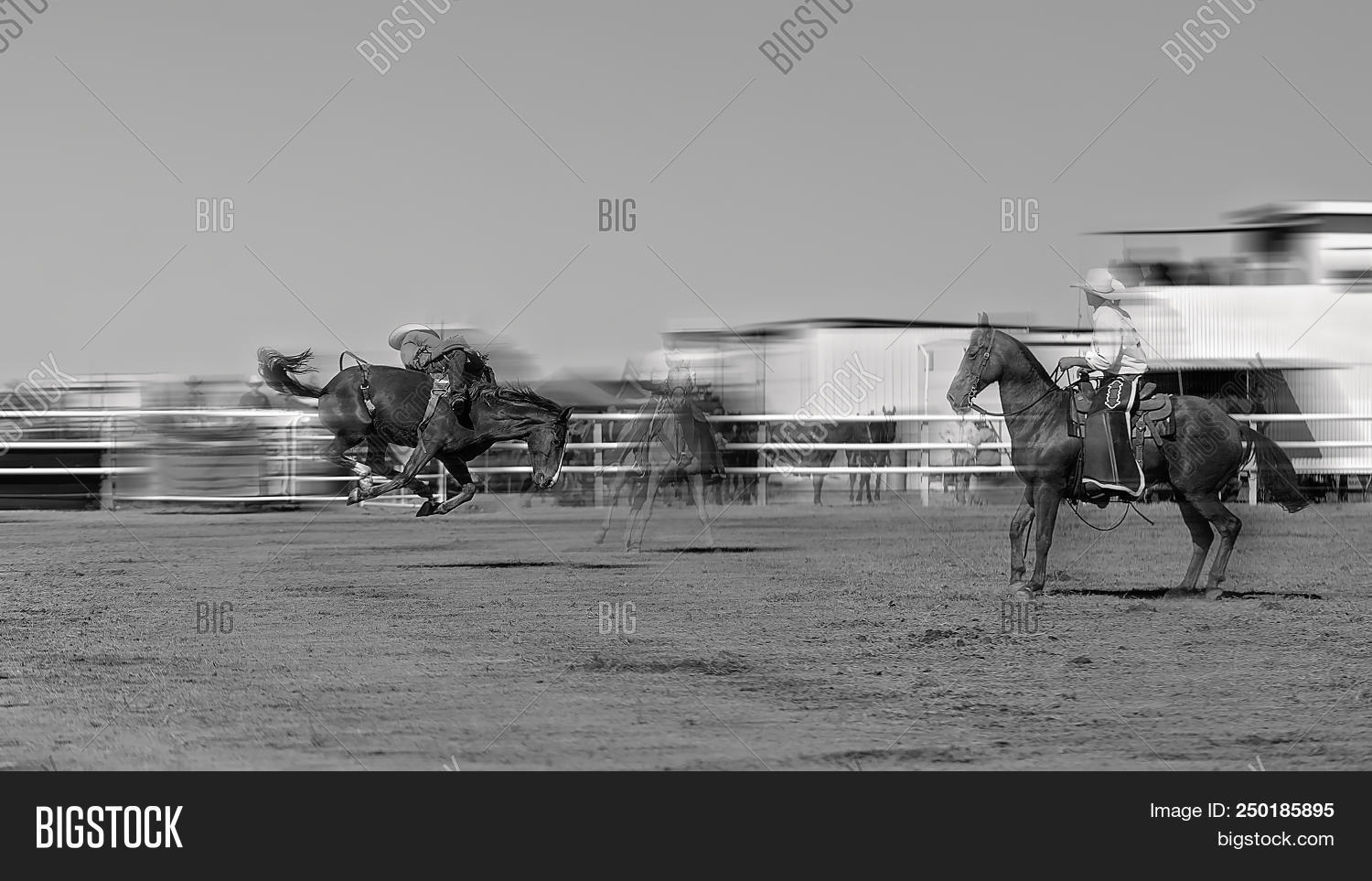 Cowboy Riding Bucking Image & Photo (Free Trial) | Bigstock