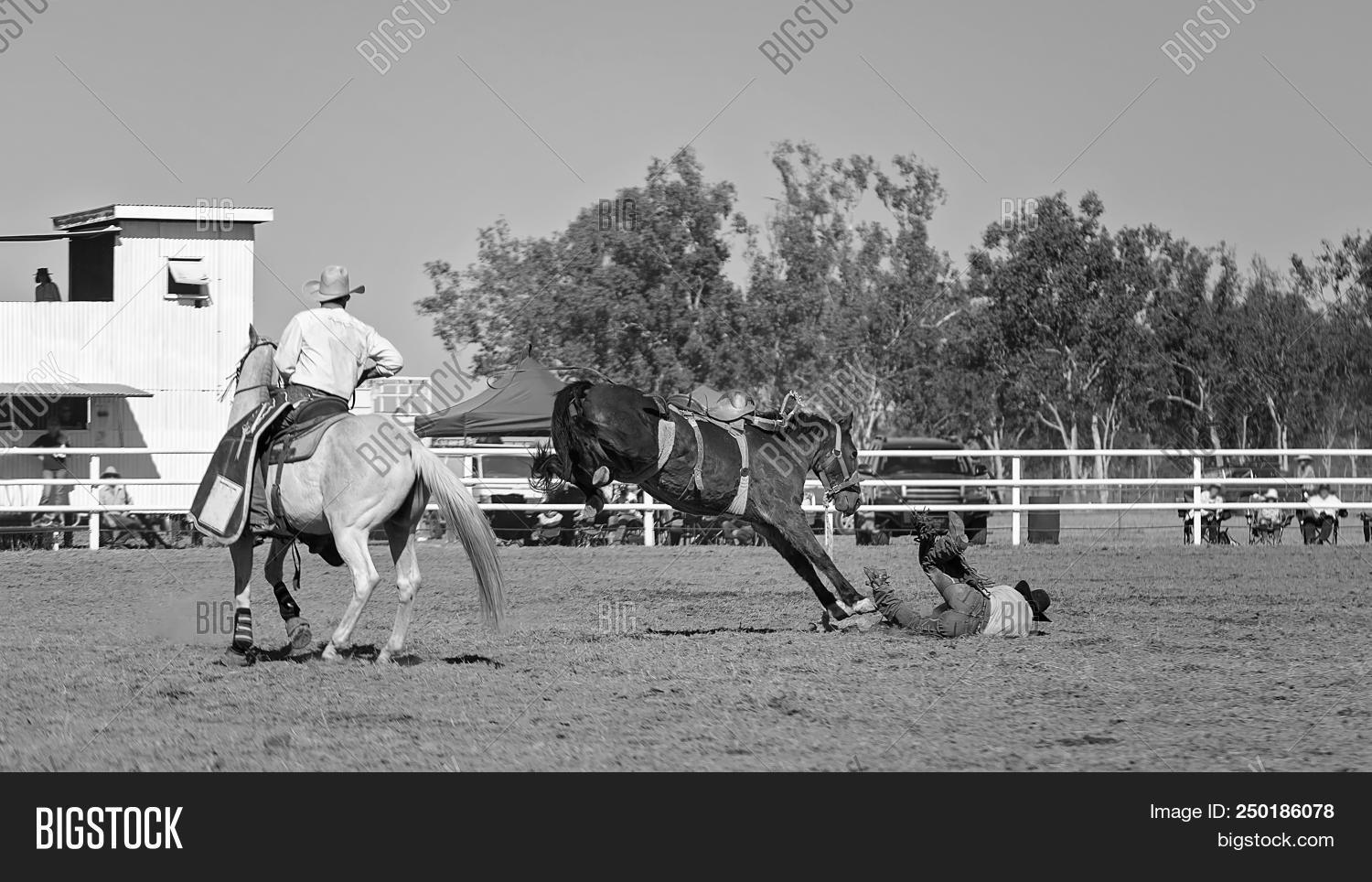Cowboy Riding Bucking Image & Photo (Free Trial) | Bigstock