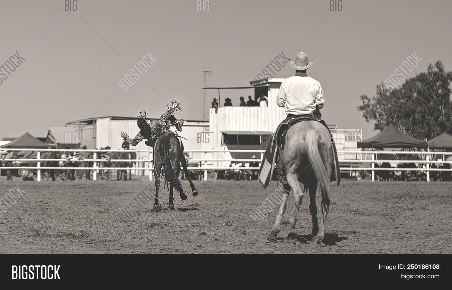 Cowboy Riding Bucking Image & Photo (Free Trial) | Bigstock