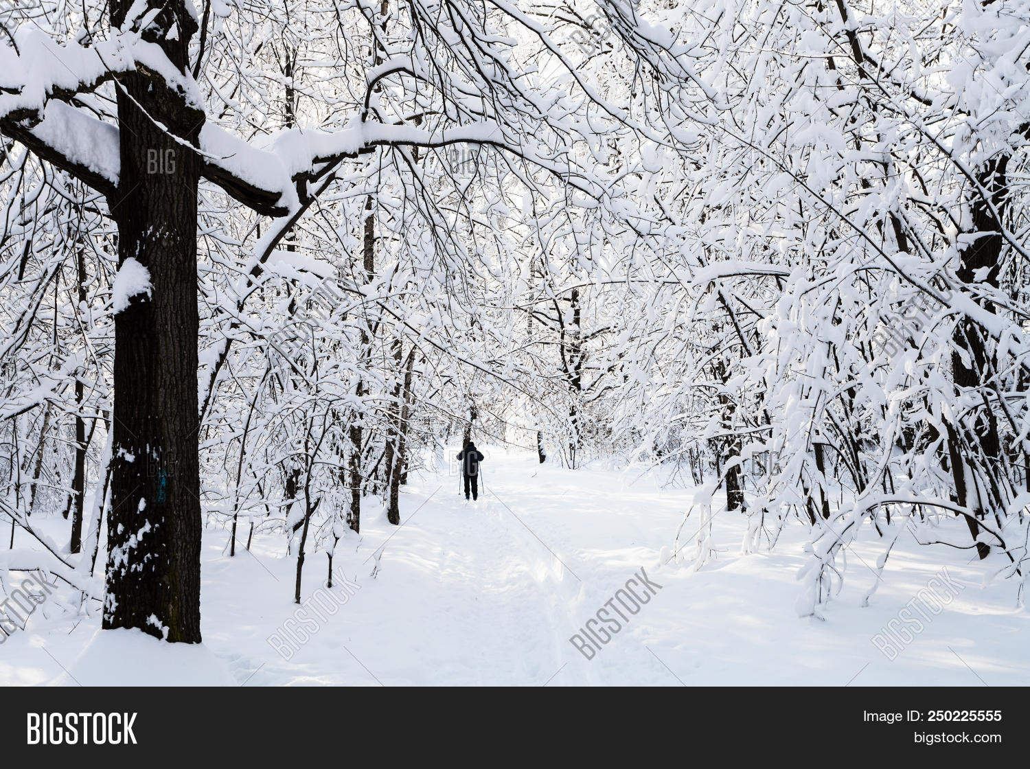 Snow-covered Ski Track Image & Photo (Free Trial) | Bigstock