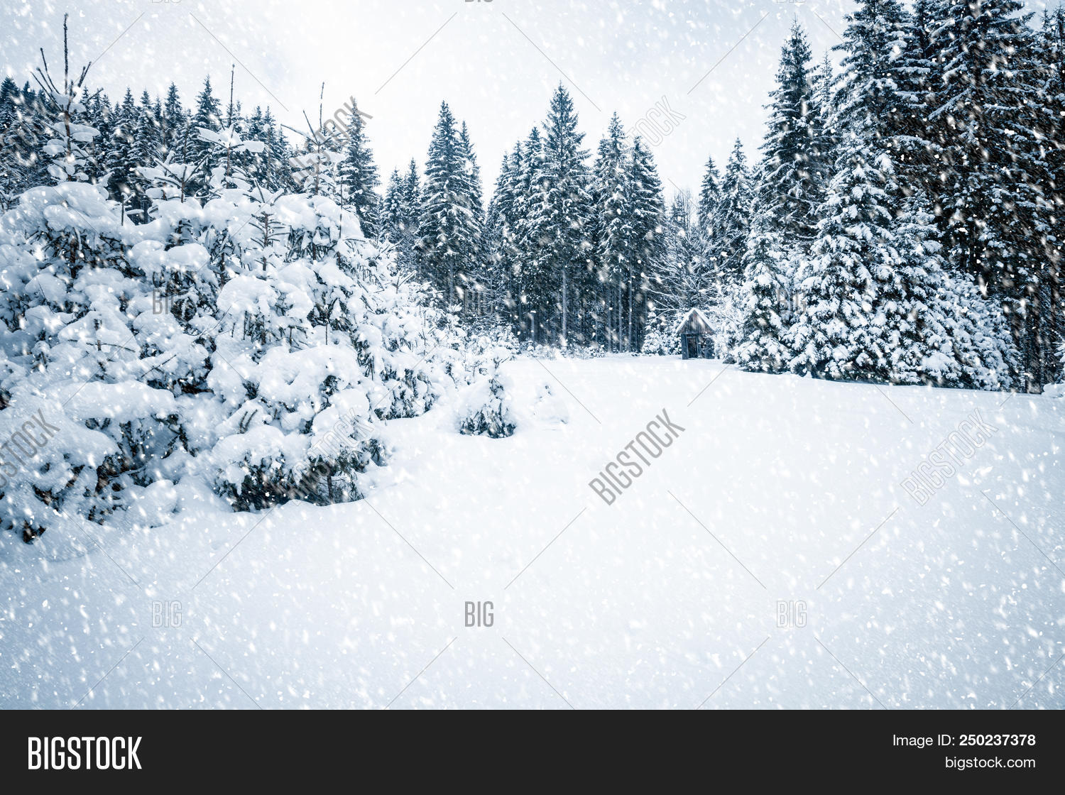 Snowy Winter Day Image & Photo (Free Trial) | Bigstock