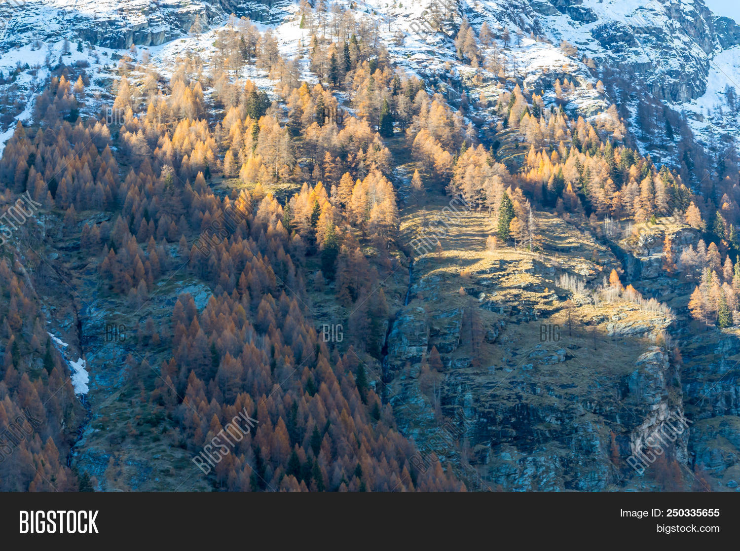 Woodland Alpine Valley Image & Photo (Free Trial) | Bigstock
