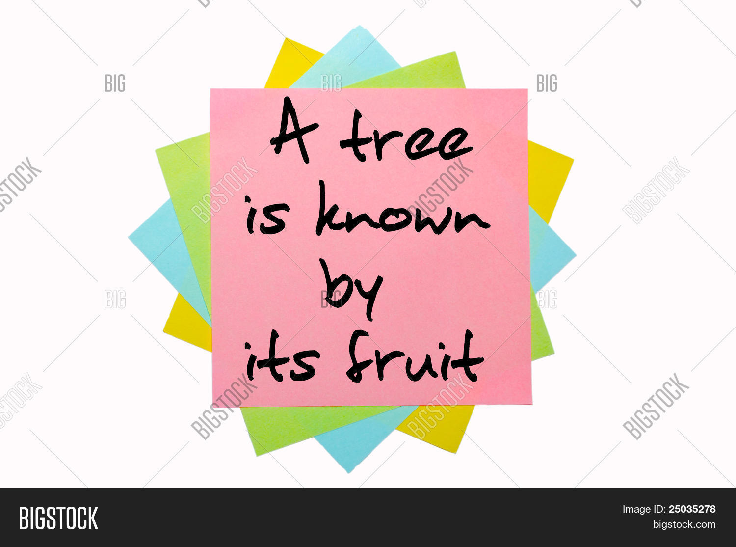 Proverb " Tree Known Image & Photo (Free Trial) | Bigstock