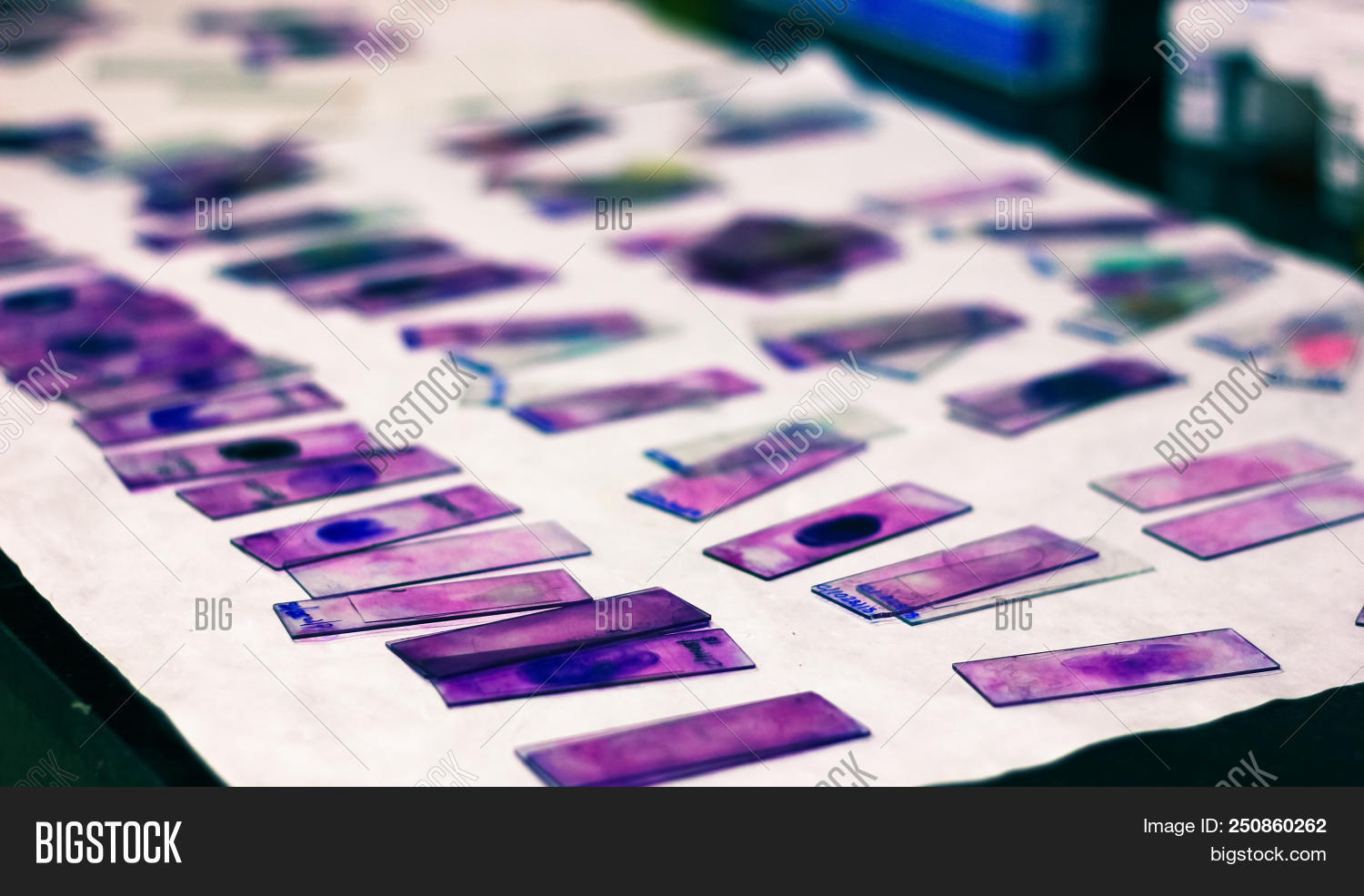 Stained Glass Slides Image & Photo (Free Trial) | Bigstock