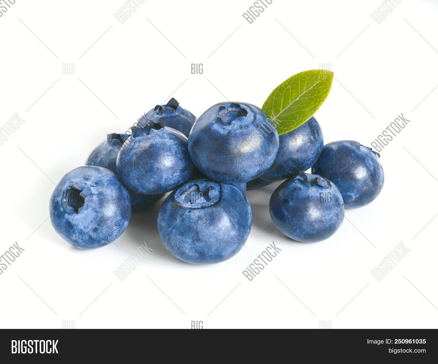 Blueberries Isolated Image & Photo (Free Trial) | Bigstock