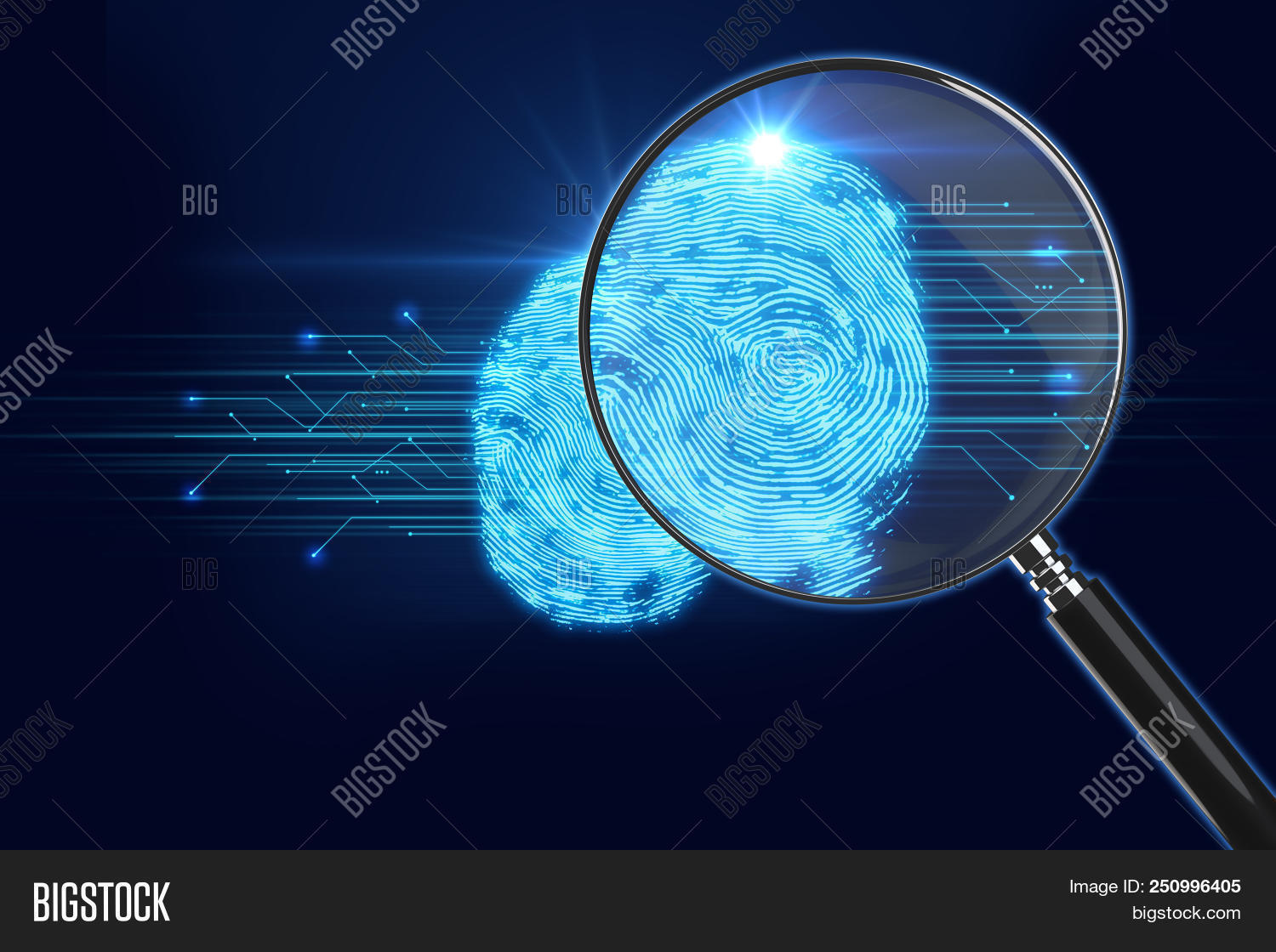 Magnifying Glass On Image & Photo (Free Trial) | Bigstock