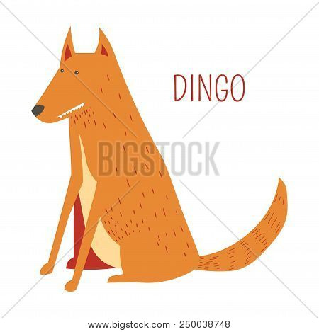 Dingo Cartoon Funny Vector & Photo (Free Trial) | Bigstock