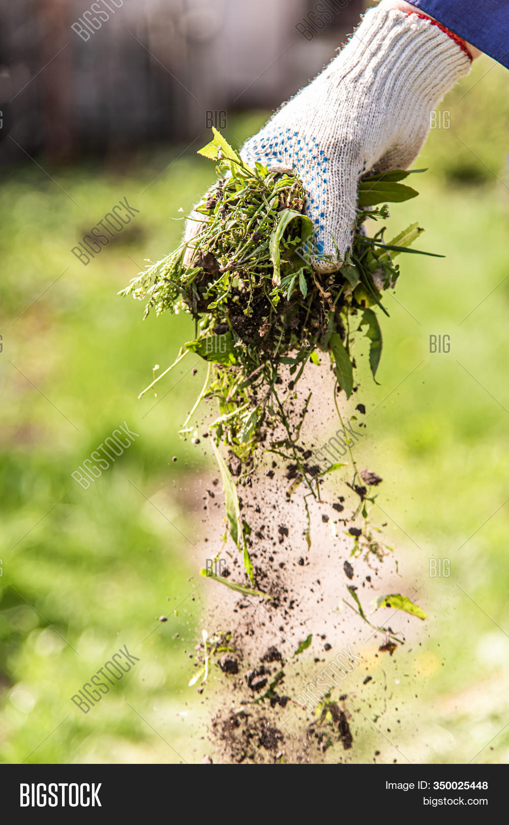 Old Man Throws Out Image & Photo (Free Trial) | Bigstock