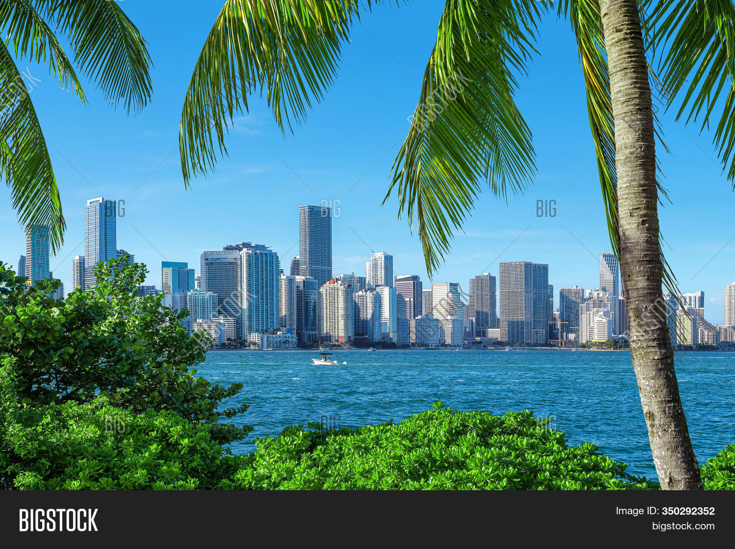 Skyline Miami Behind Image & Photo (Free Trial) | Bigstock