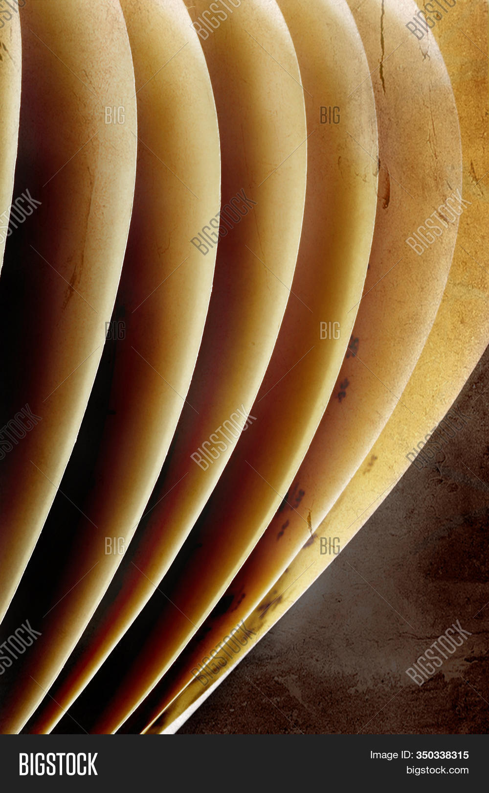 Close- Book Pages Image & Photo (Free Trial) | Bigstock