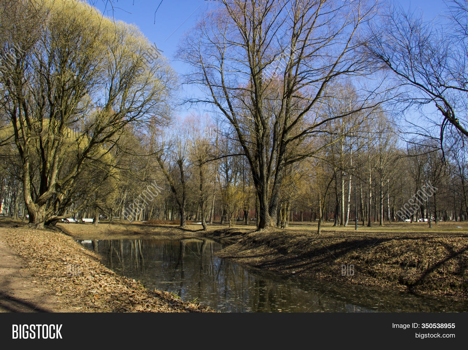 Beautiful City Park. Image & Photo (Free Trial) | Bigstock