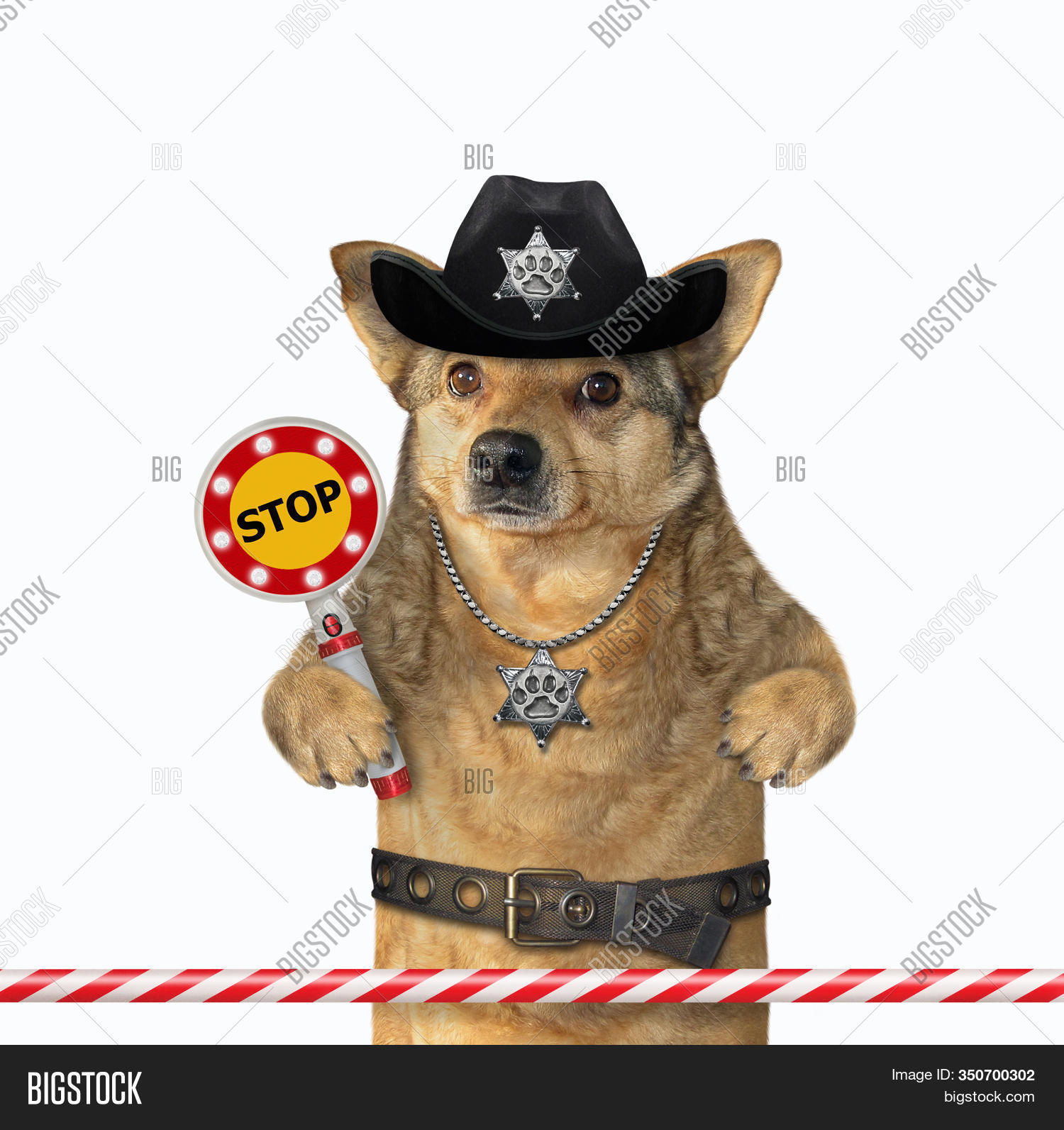 Beige Dog Policeman Image & Photo (Free Trial) | Bigstock