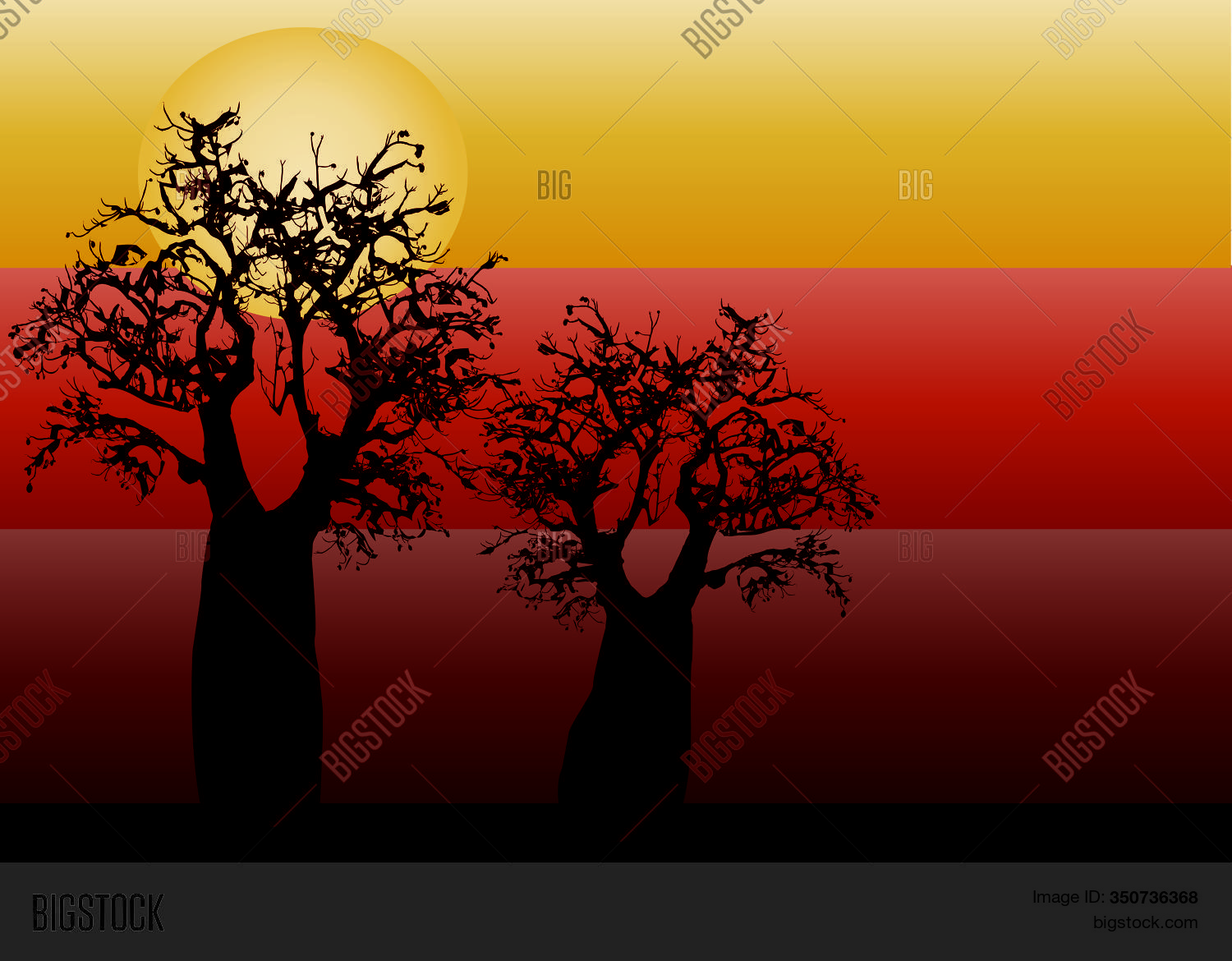 Boab Tree Three Vector & Photo (Free Trial) | Bigstock