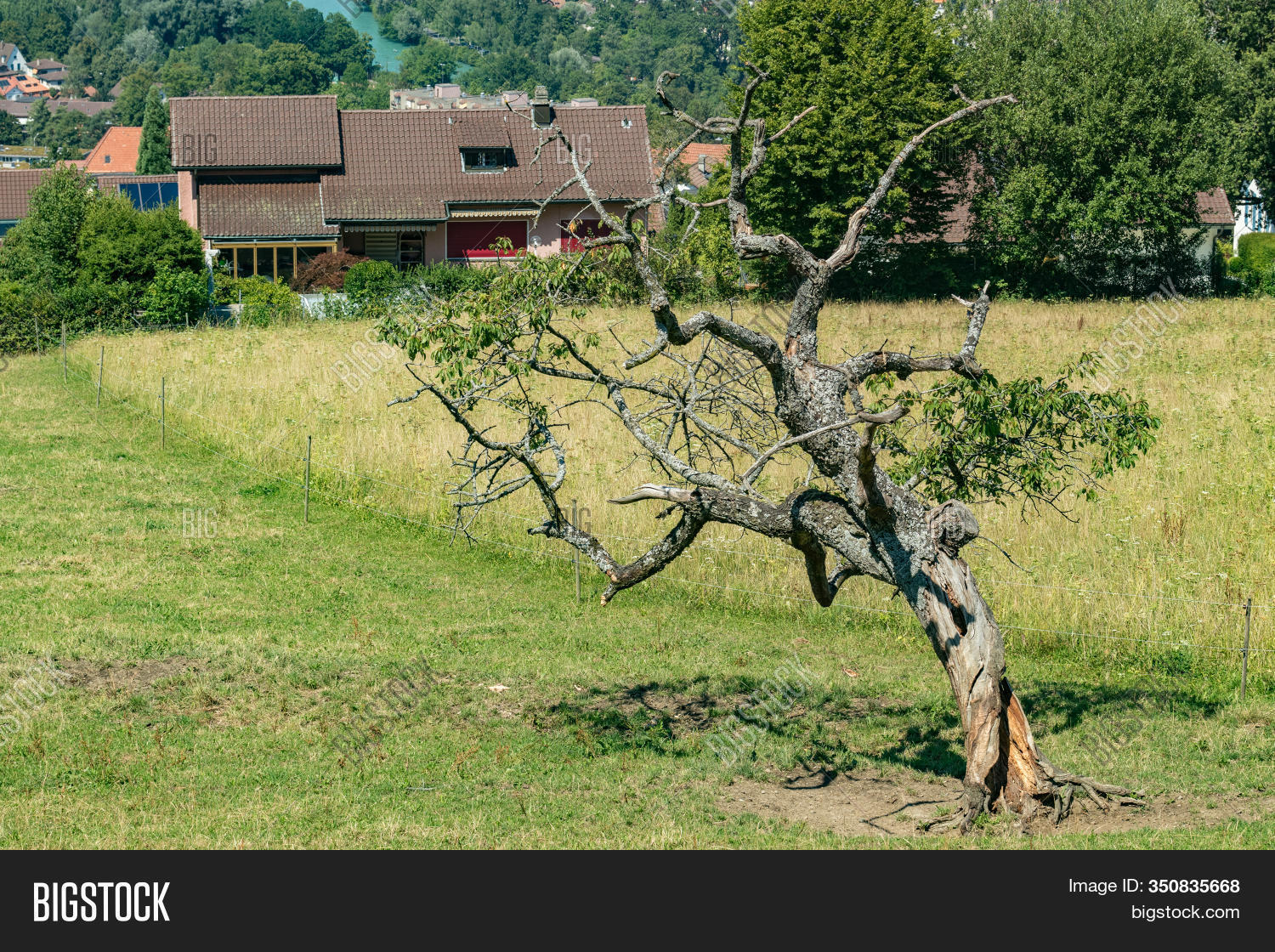 Gurten Funicular Lets Image & Photo (Free Trial) | Bigstock