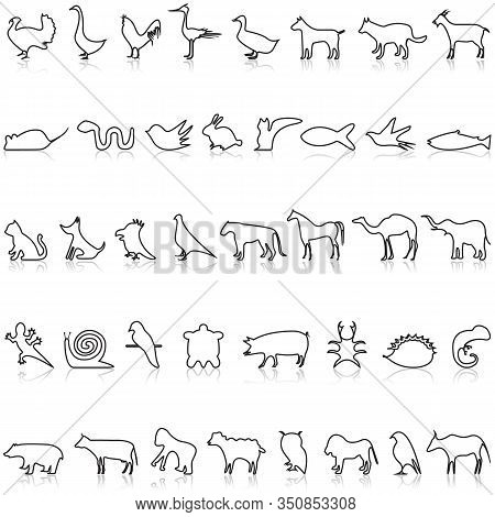 Animals Side View Vector & Photo (Free Trial) | Bigstock