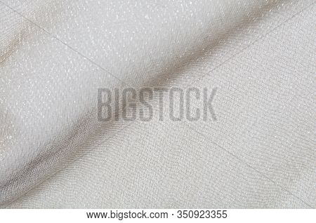 Closeup White Color Image & Photo (Free Trial) | Bigstock