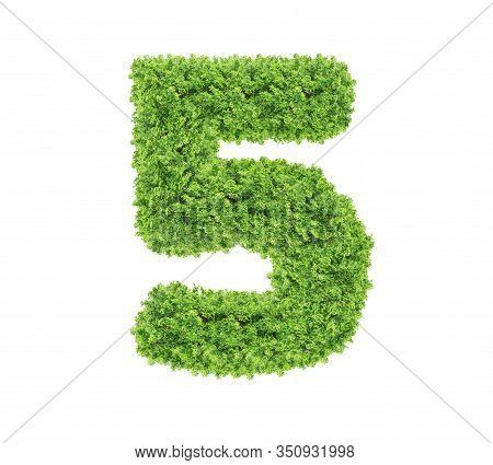 Grass Number Five Image & Photo (Free Trial) | Bigstock