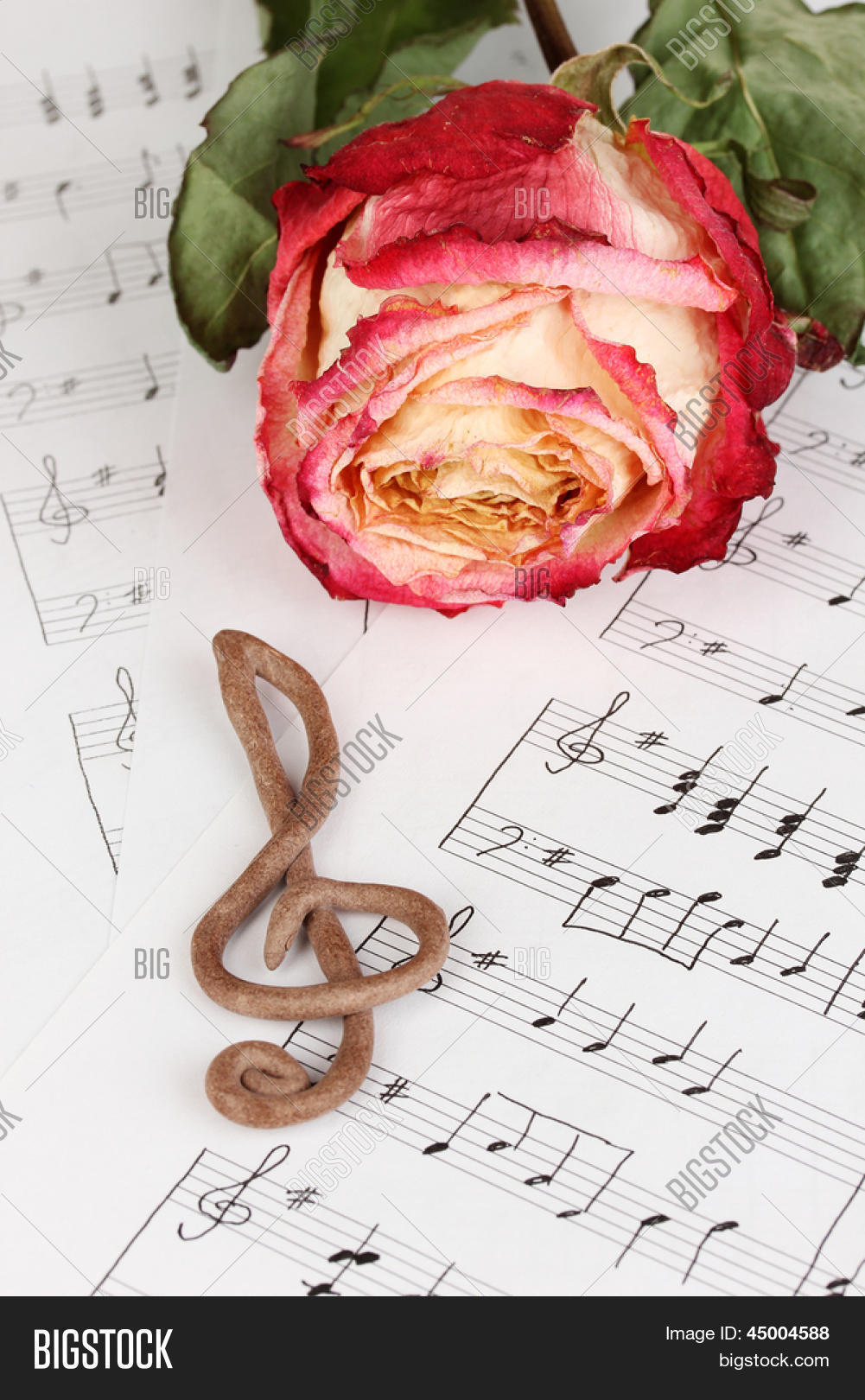 Treble Clef Rose On Image & Photo (Free Trial) | Bigstock