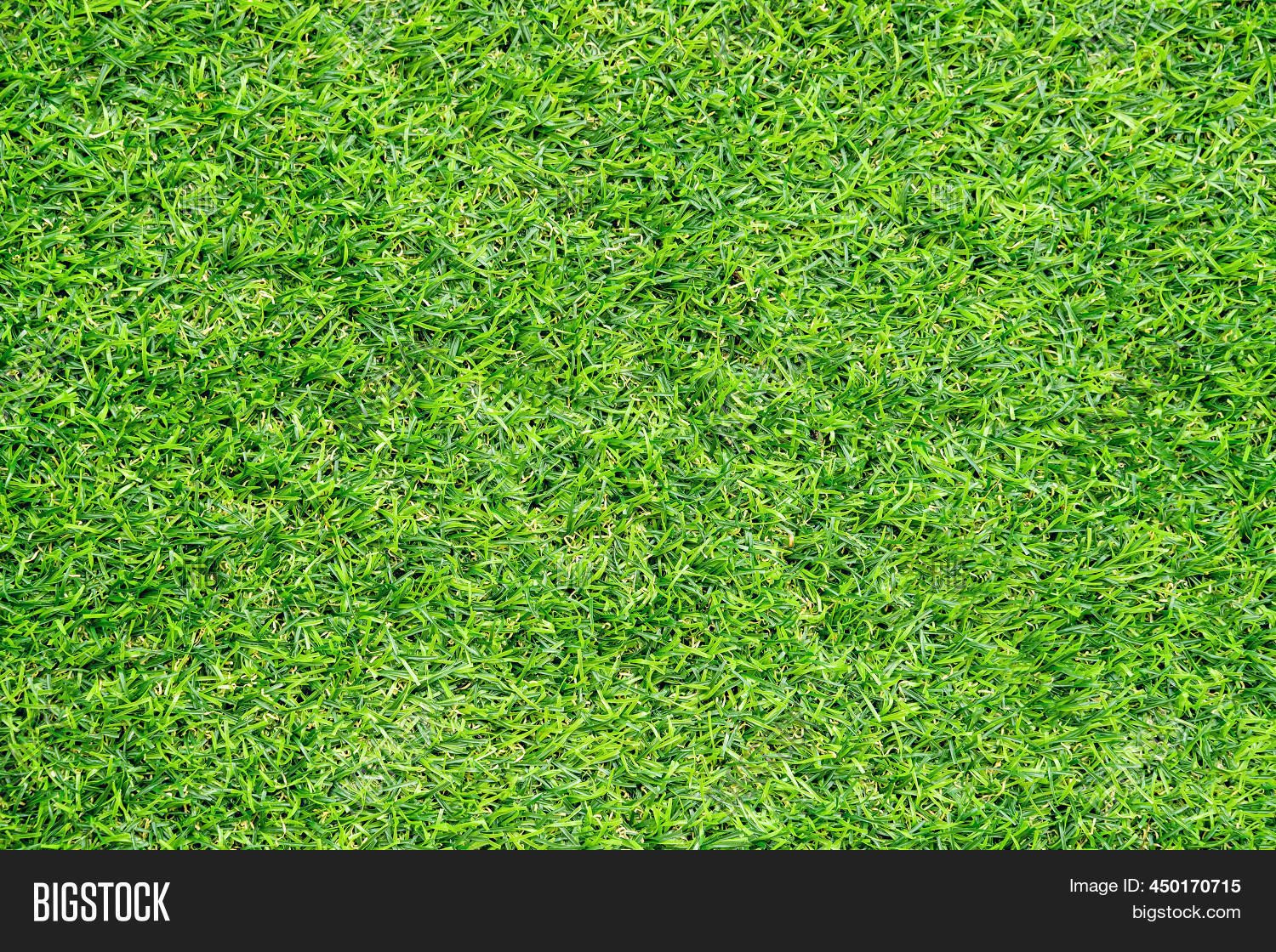Green Grass Texture Image & Photo (Free Trial) | Bigstock