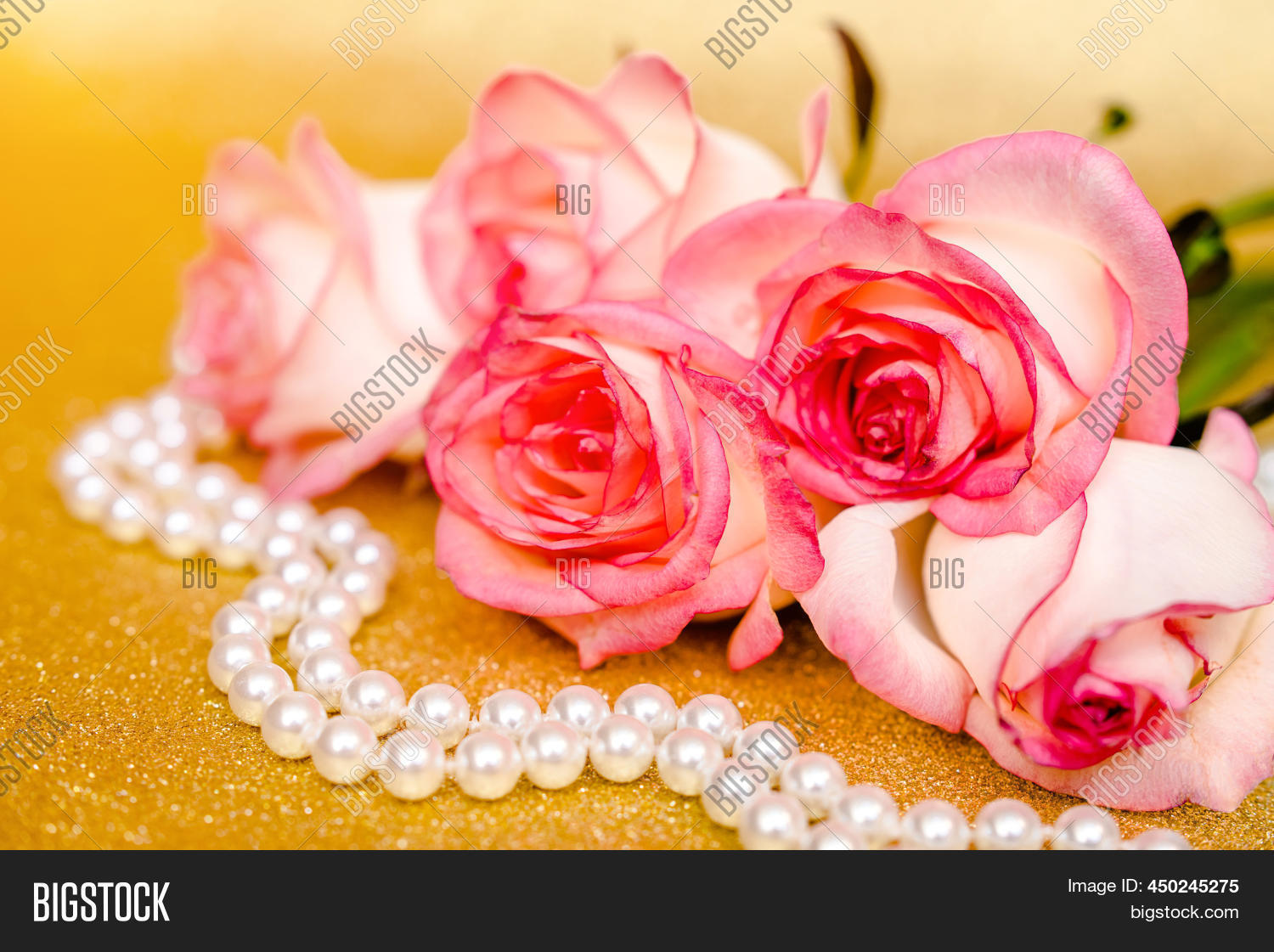 Pink Rose Pearl Image & Photo (Free Trial) | Bigstock