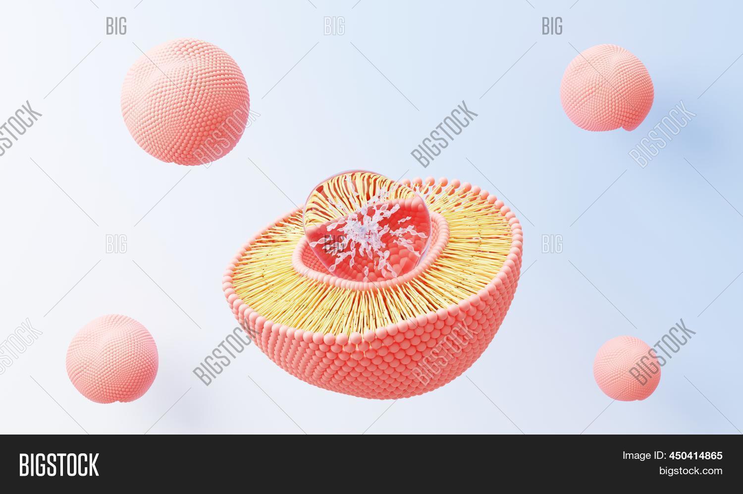 3d Render Cell Image & Photo (Free Trial) | Bigstock