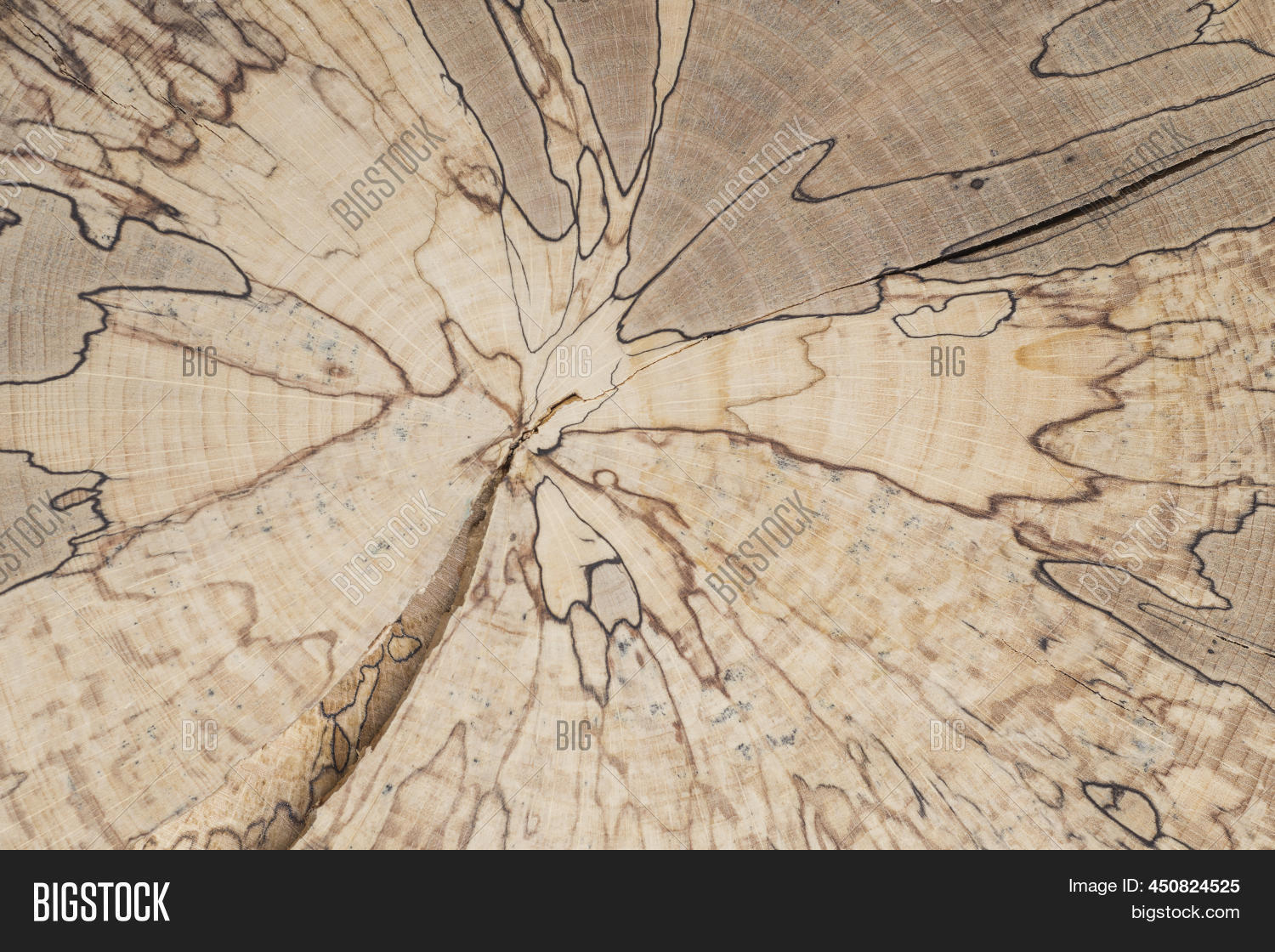 Concentric Pattern Image & Photo (Free Trial) | Bigstock