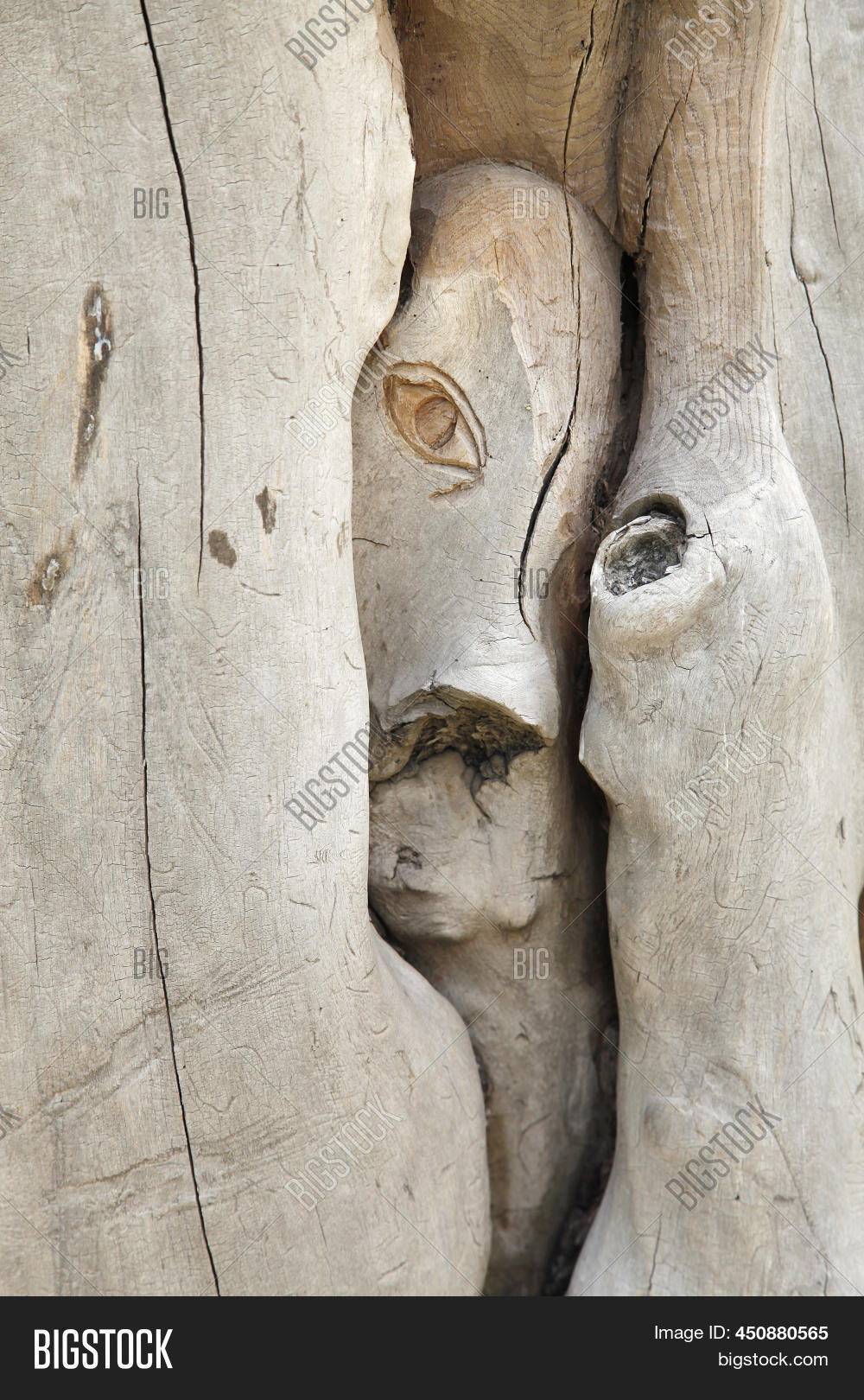 Eye Mythical Creatures Image & Photo (Free Trial) | Bigstock