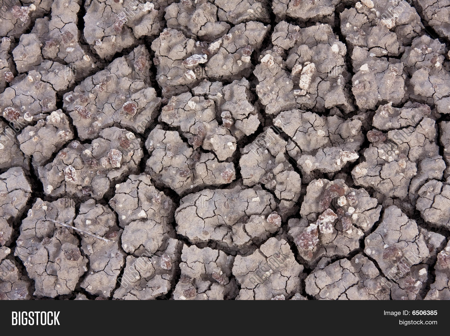 Cracked Clay Soil Dry Earth Covered With Small Cracks As Drought And