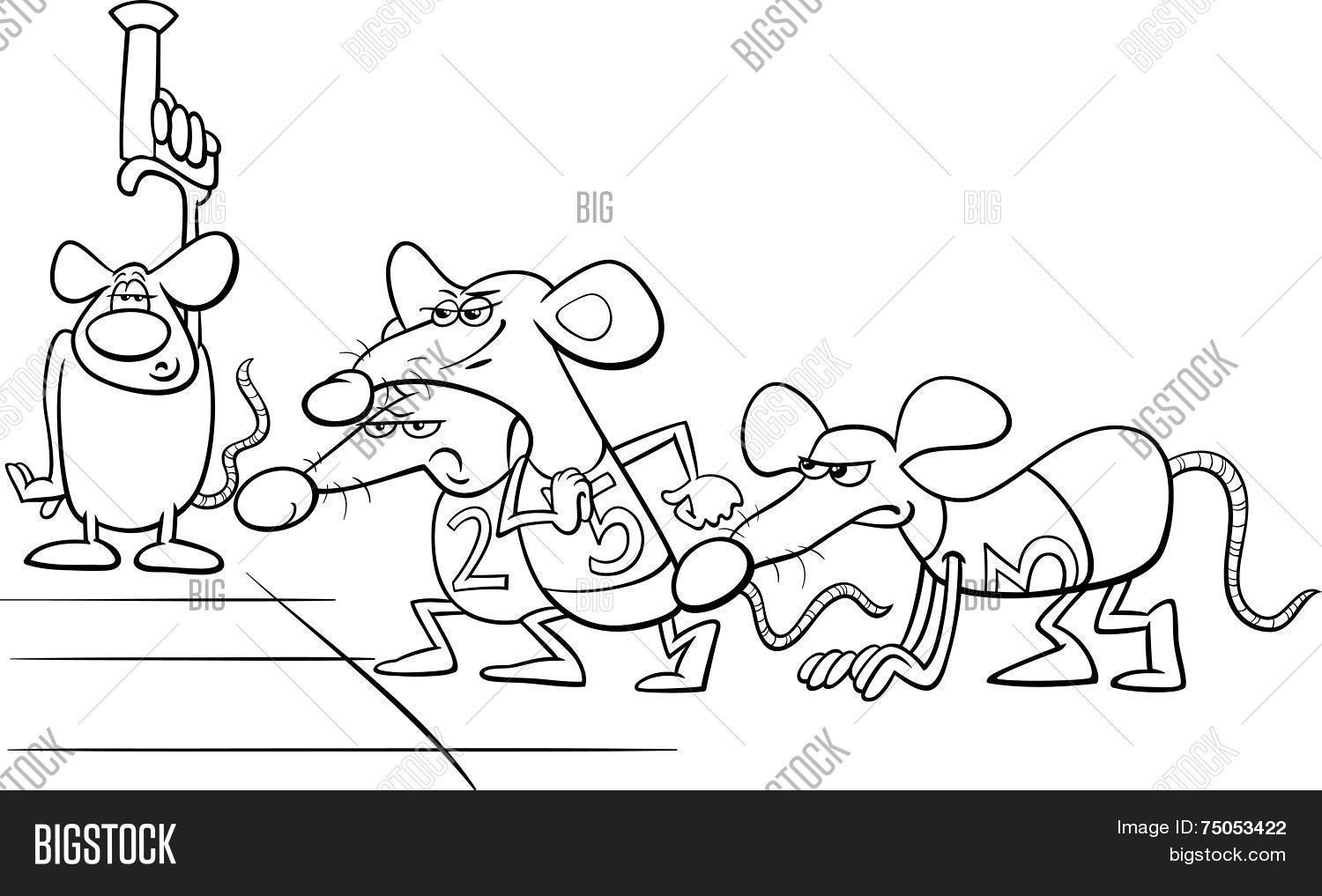 Rat Race Cartoon Vector & Photo (Free Trial) | Bigstock