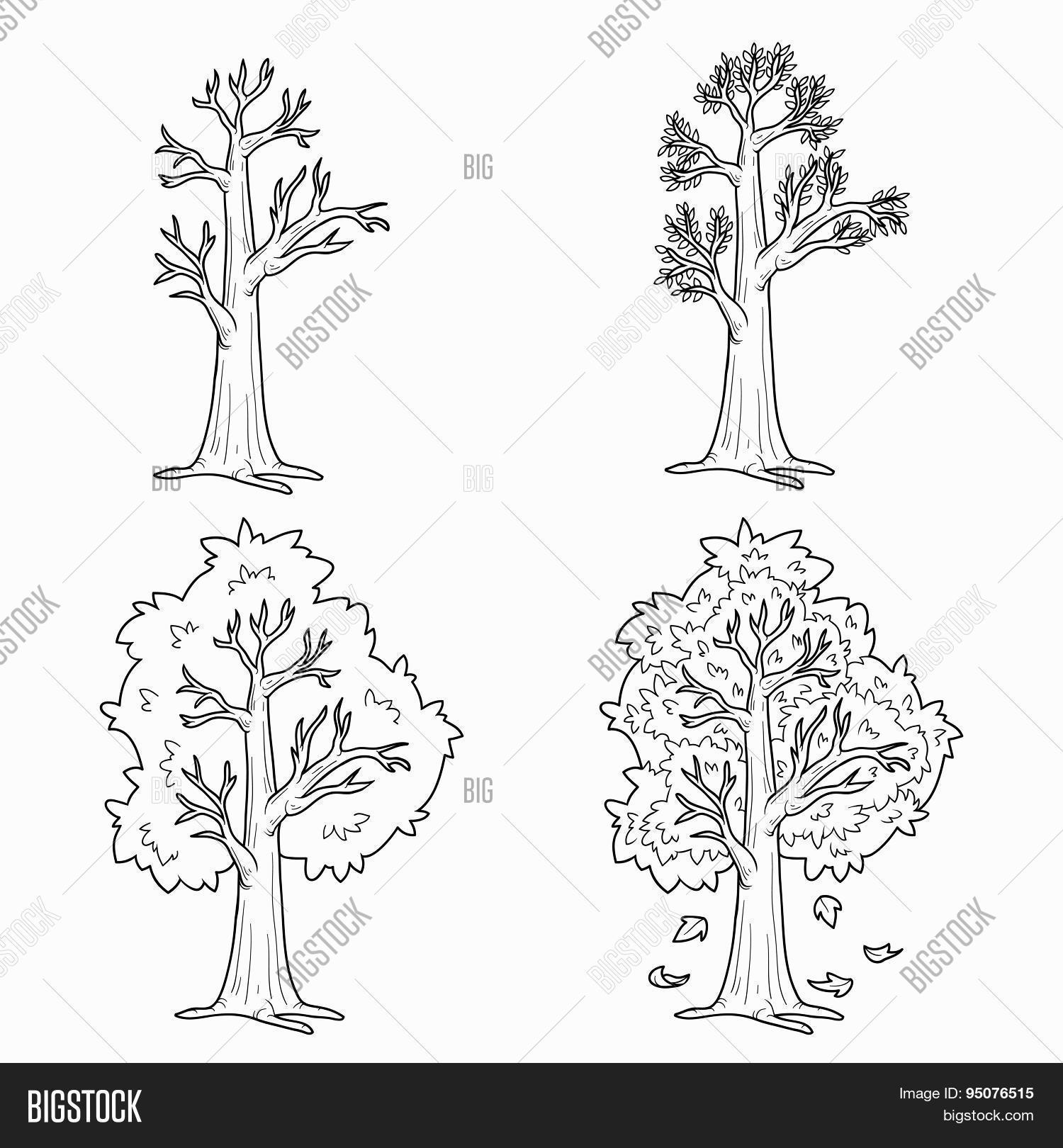Four Seasons Trees Coloring Vector Illustration Stock