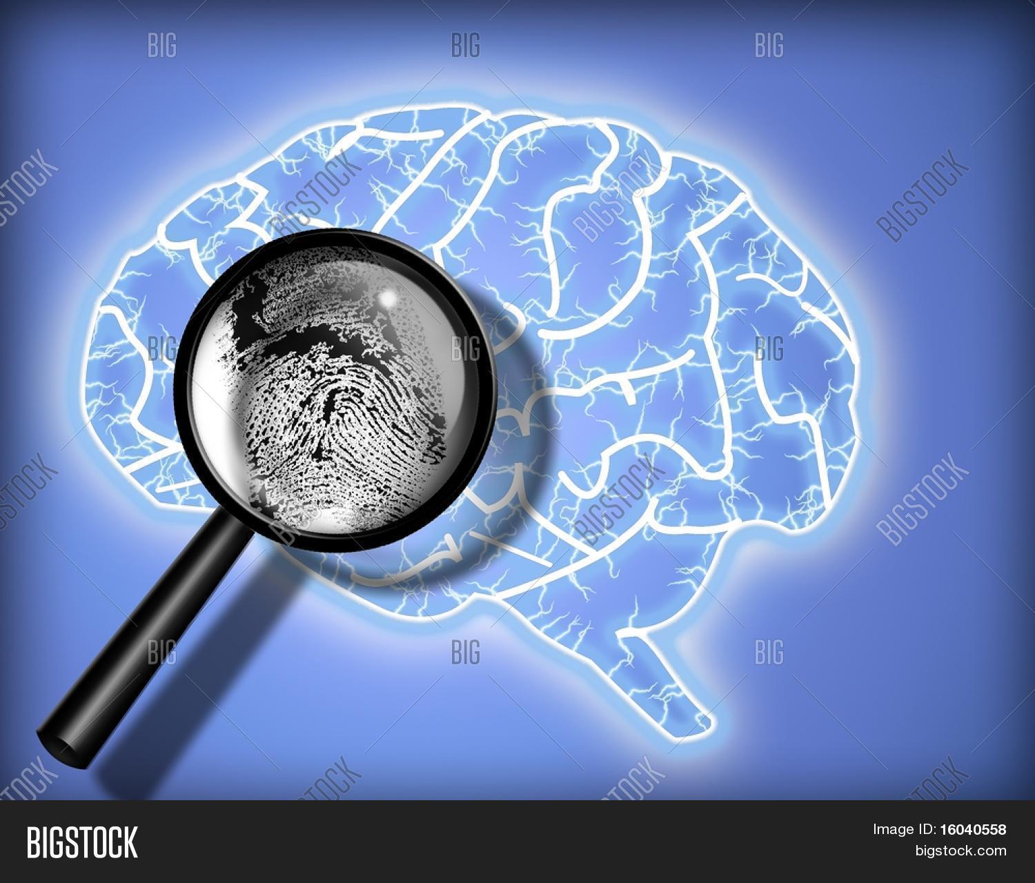Brain Fingerprint, Image & Photo (Free Trial) | Bigstock