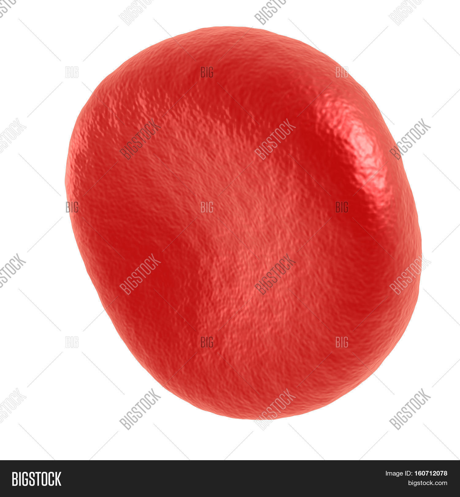 Red Blood Cell. 3d Image & Photo (Free Trial) | Bigstock