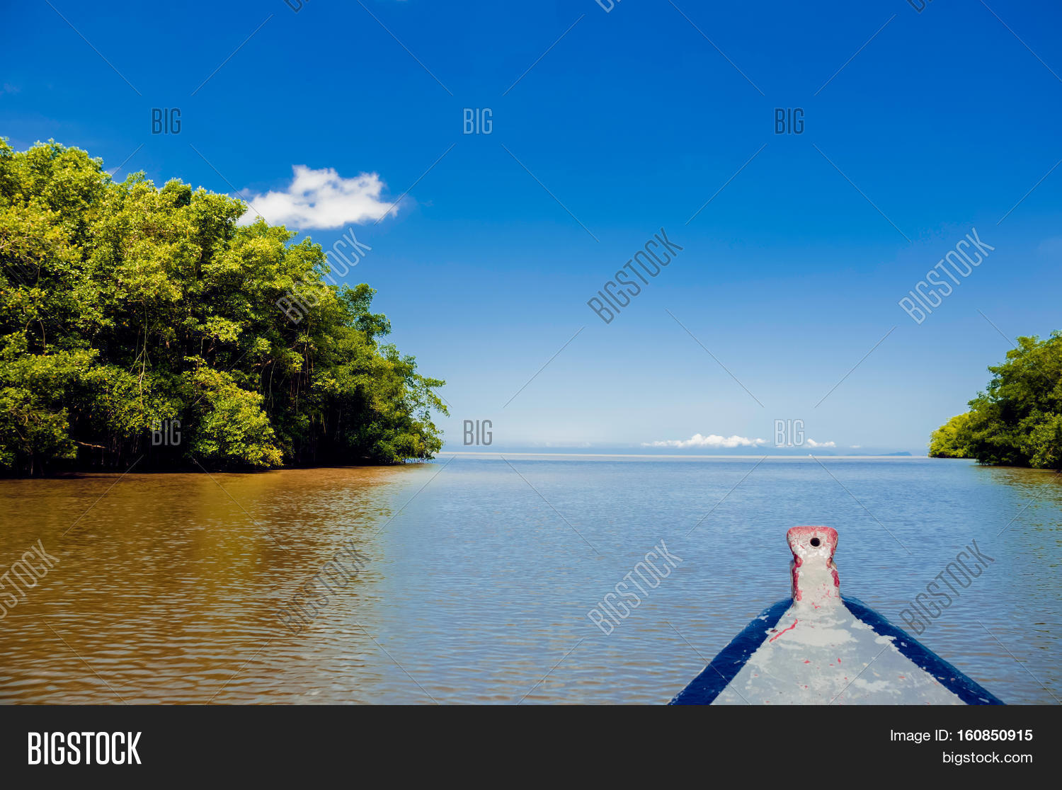 Caroni River Mouth Image & Photo (Free Trial) | Bigstock